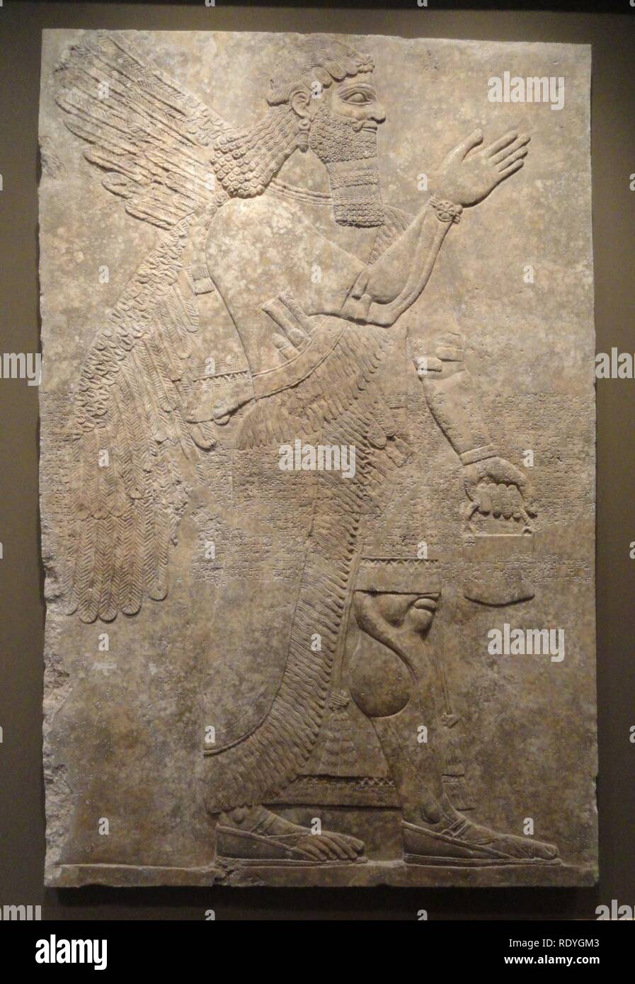 Assyrian Relief 5 from the Palace of Ashurnasirpal II - Hood Stock ...