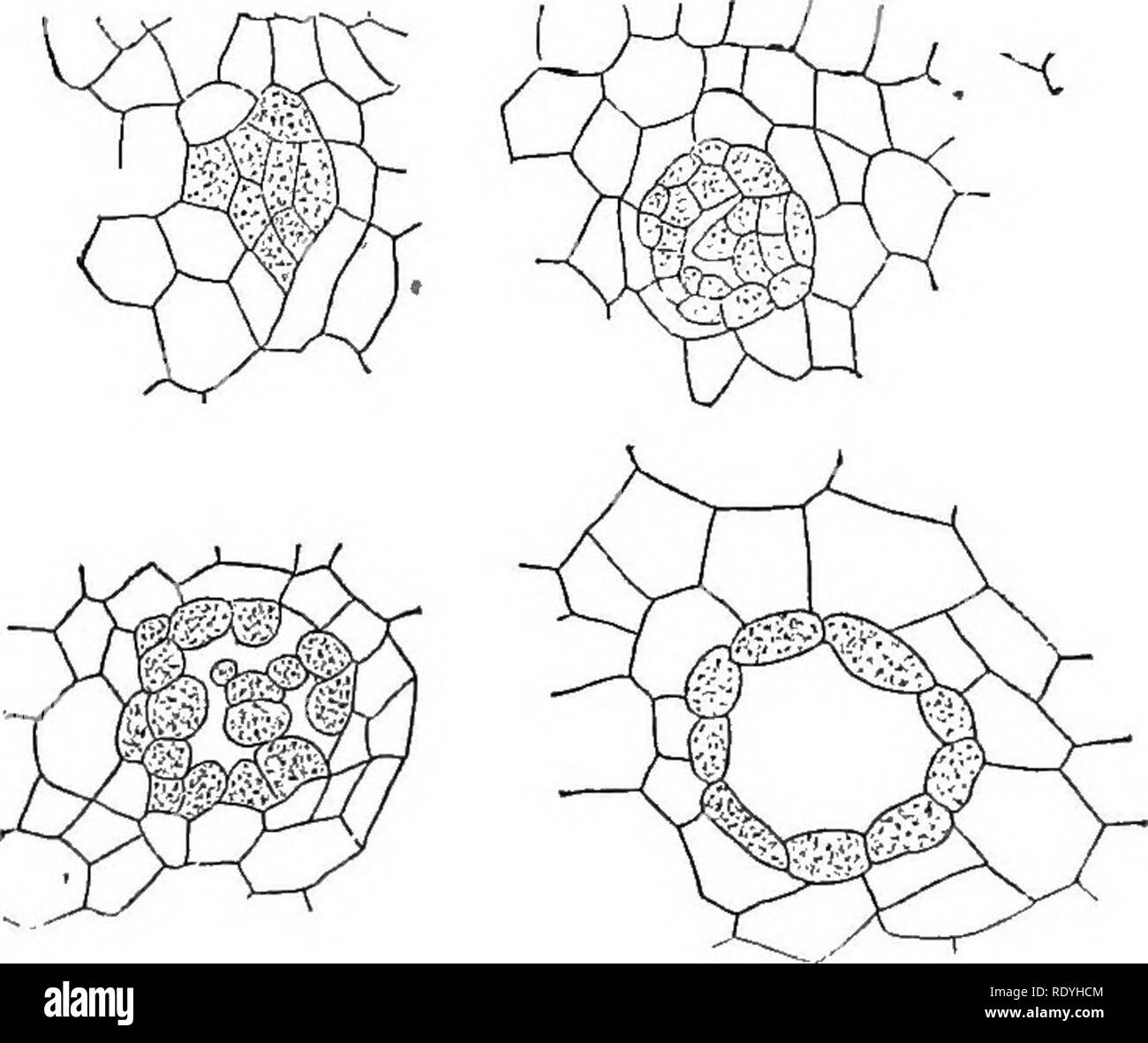 Secretions Black and White Stock Photos & Images - Alamy