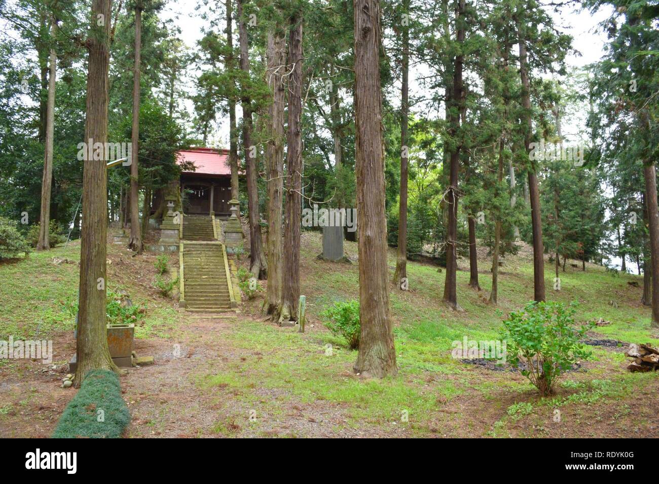 Mibu hi-res stock photography and images - Alamy