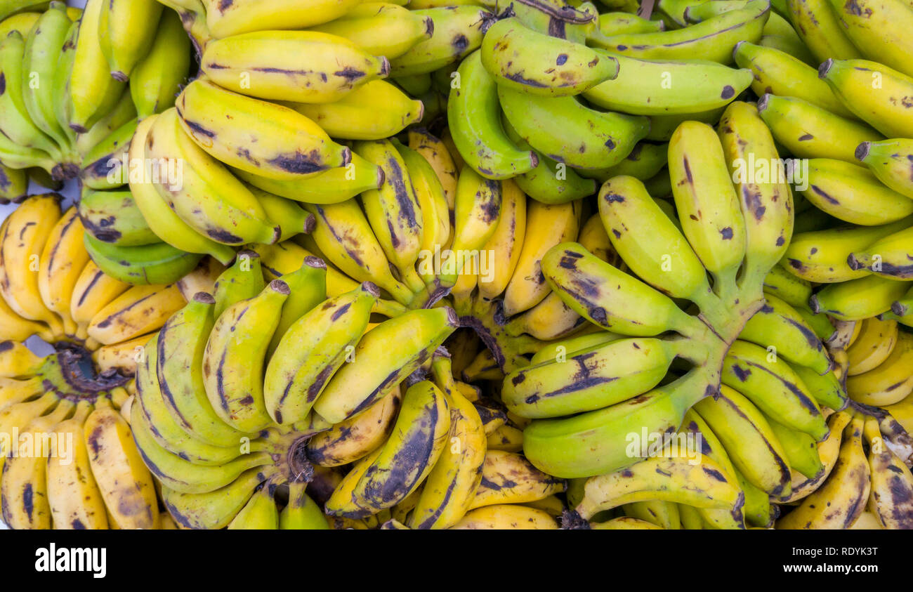 Top view of many ripe mini bananas Stock Photo - Alamy
