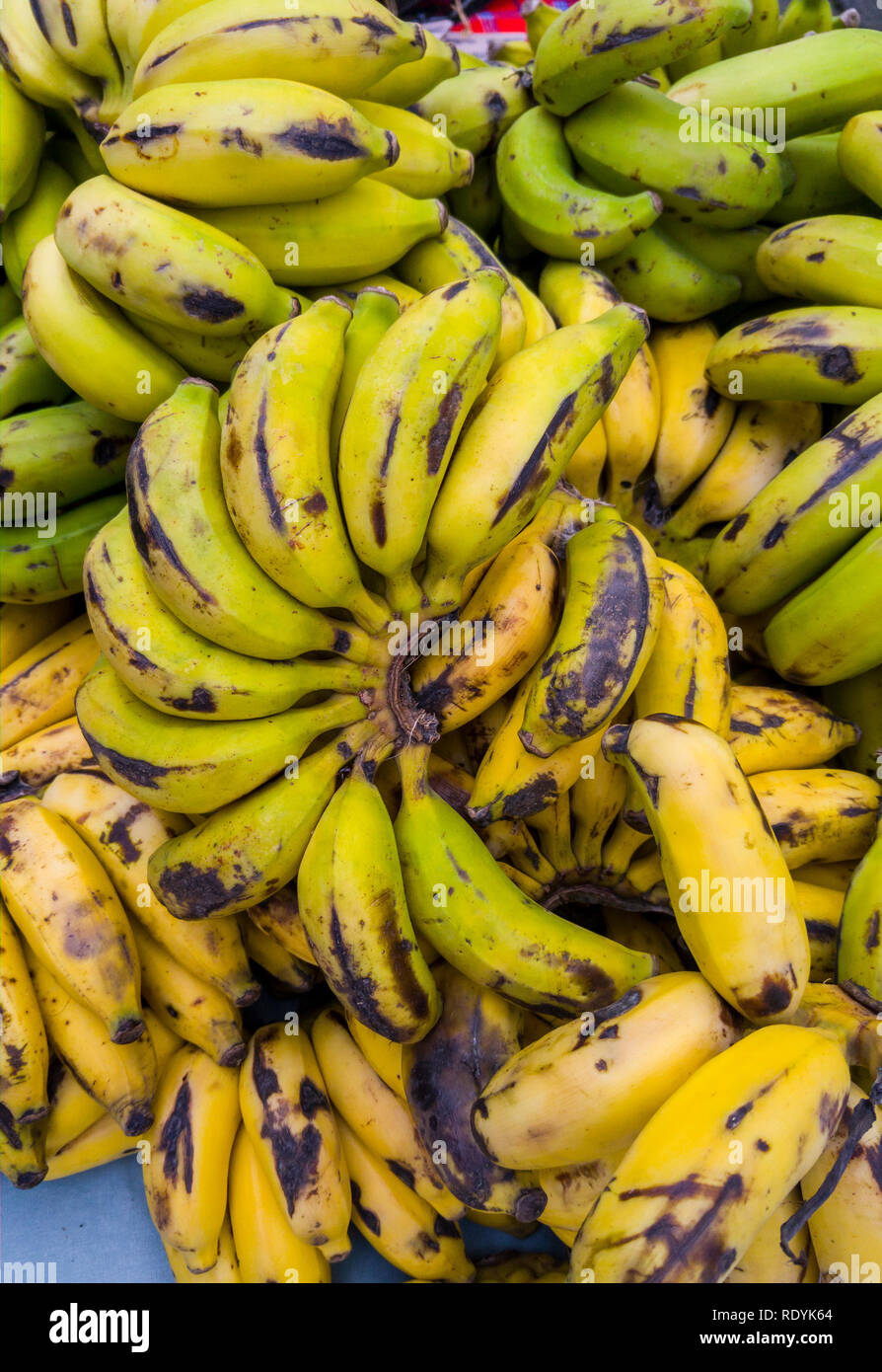 Cluster of red bananas hi-res stock photography and images - Alamy