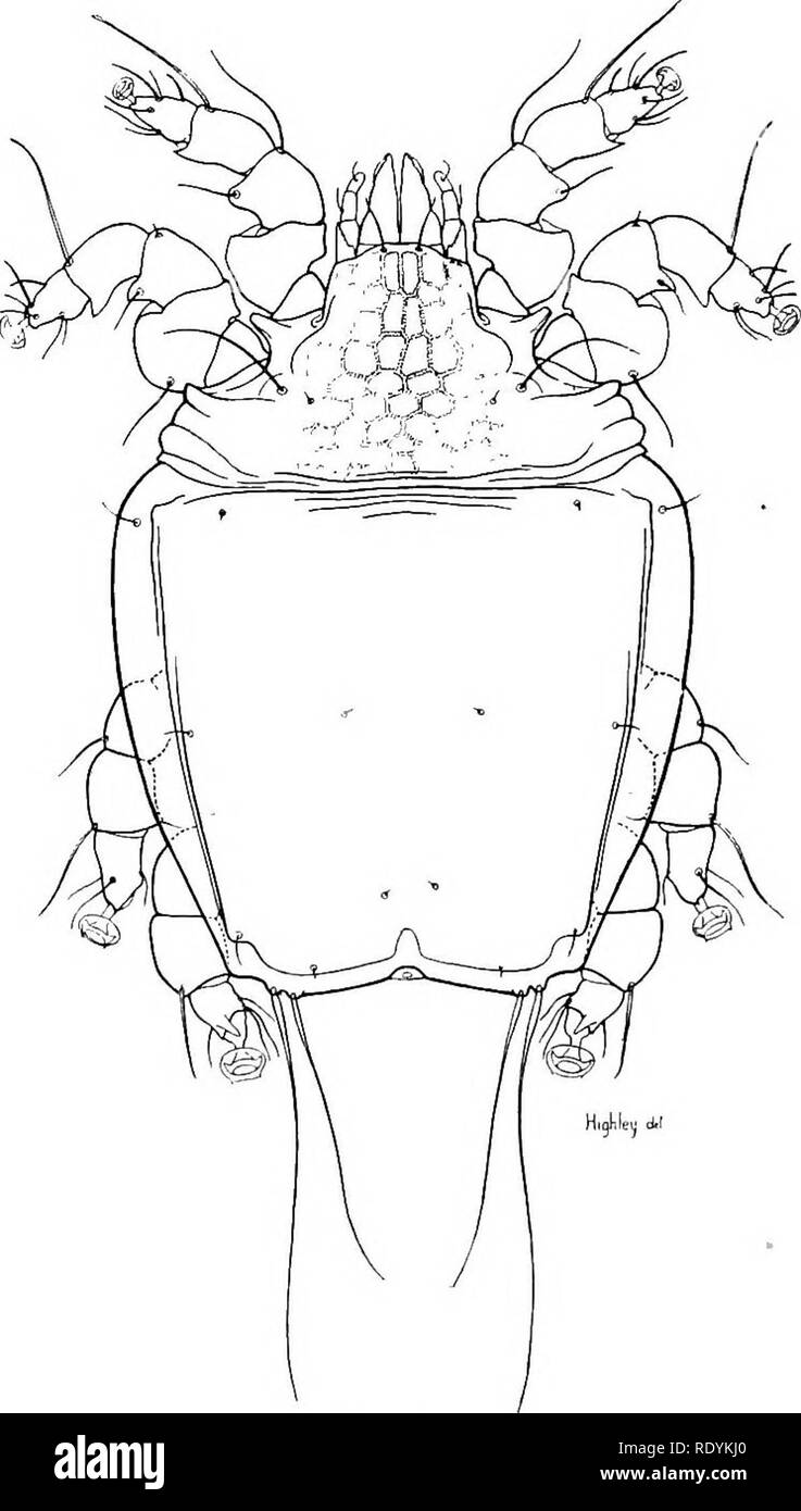 . Mites injurious to domestic animals (with an appendix on the acarine ...