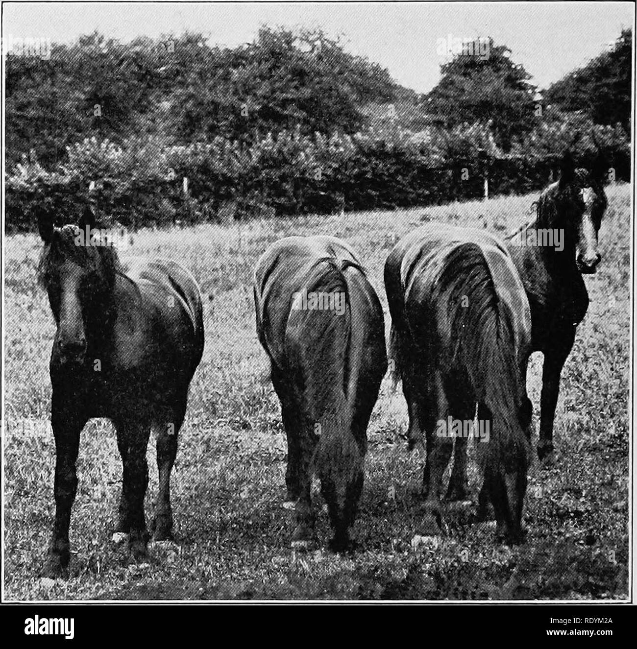 Well being of the individual Black and White Stock Photos & Images - Alamy