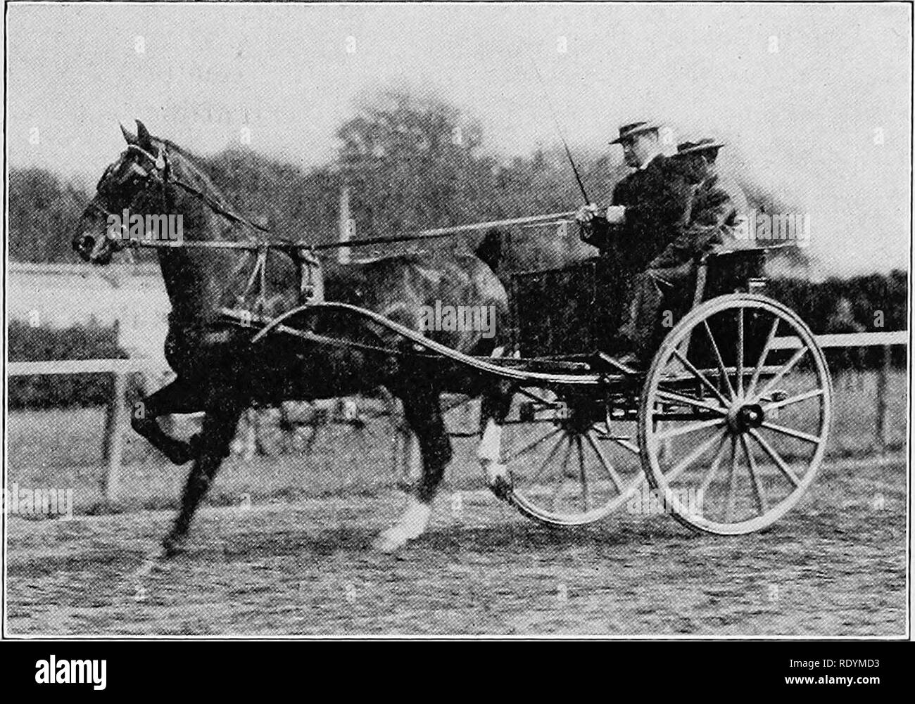 Extended canter Black and White Stock Photos & Images - Alamy