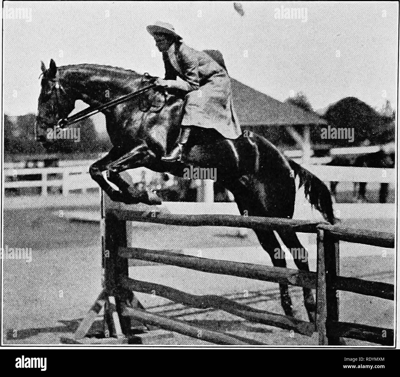 Horses Jumping Really High And Falling