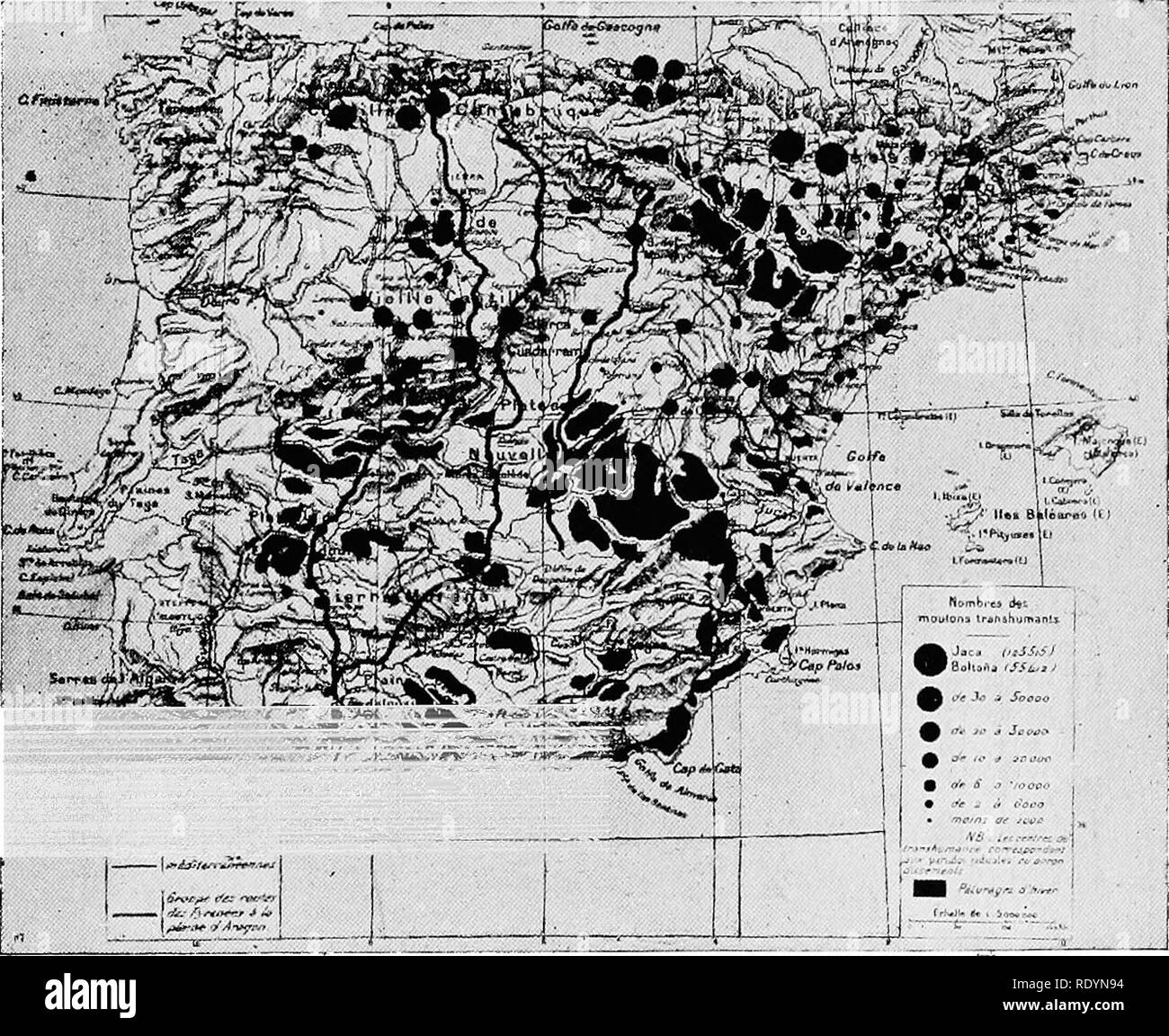 . Productive sheep husbandry . Sheep. CHARACTERlgTiCS OF MERINOS IN ...