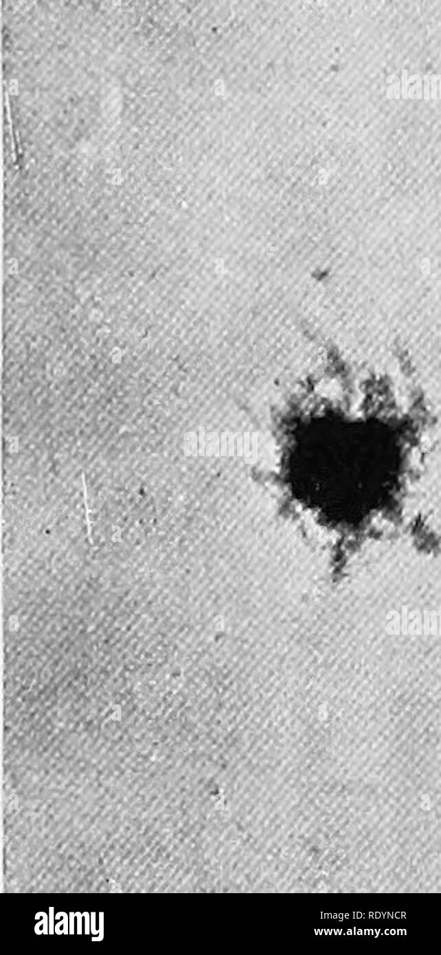 Acidophil milk hi-res stock photography and images - Alamy