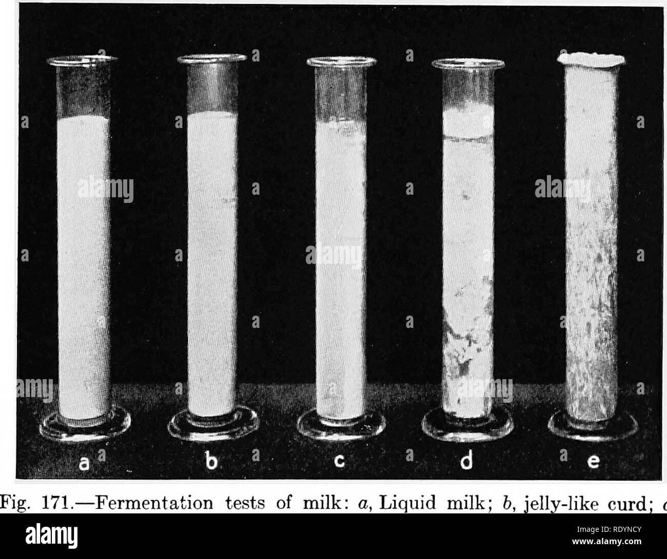 Curd formation hi-res stock photography and images - Alamy