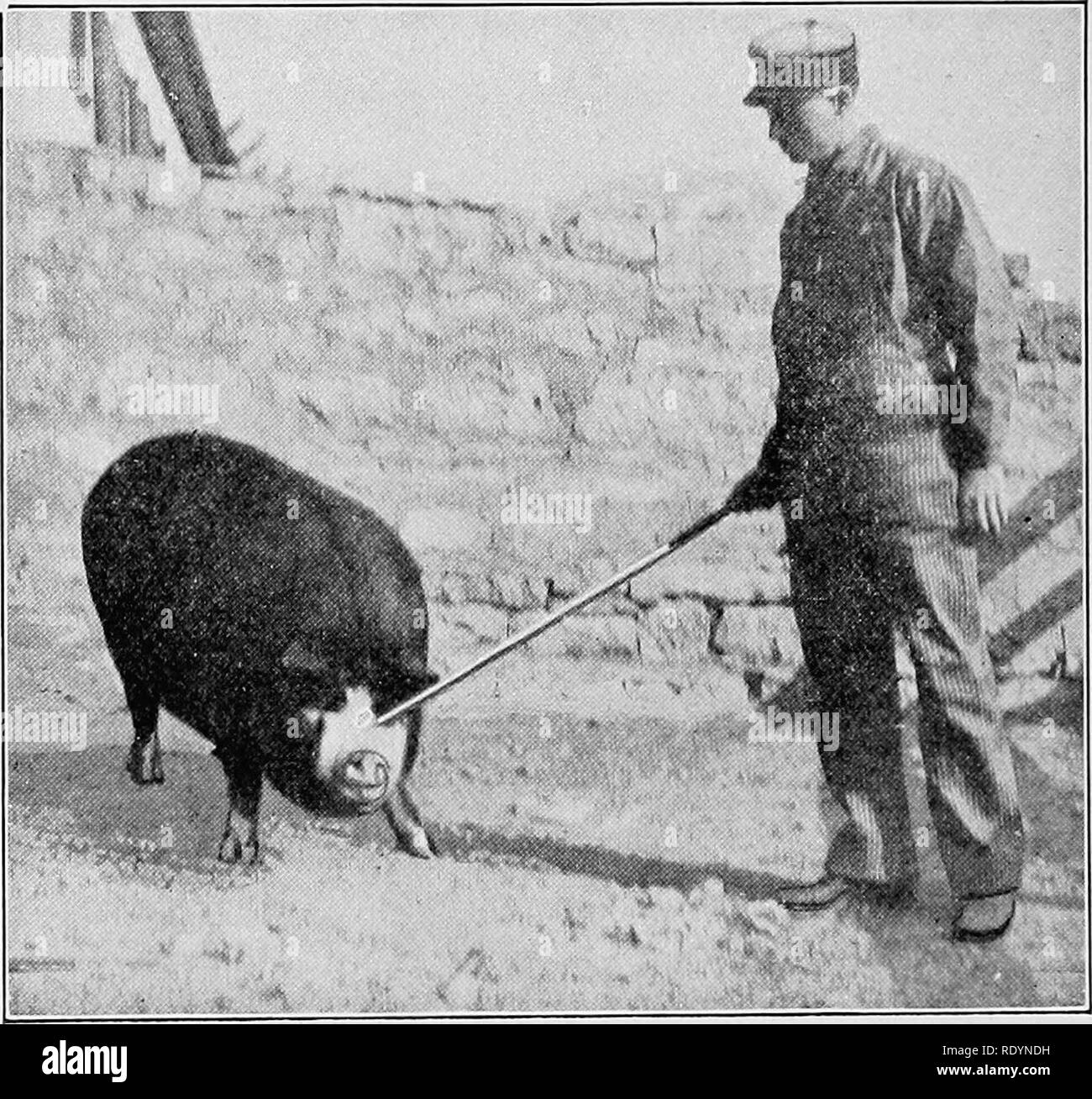 Hog farm waste Black and White Stock Photos & Images - Alamy