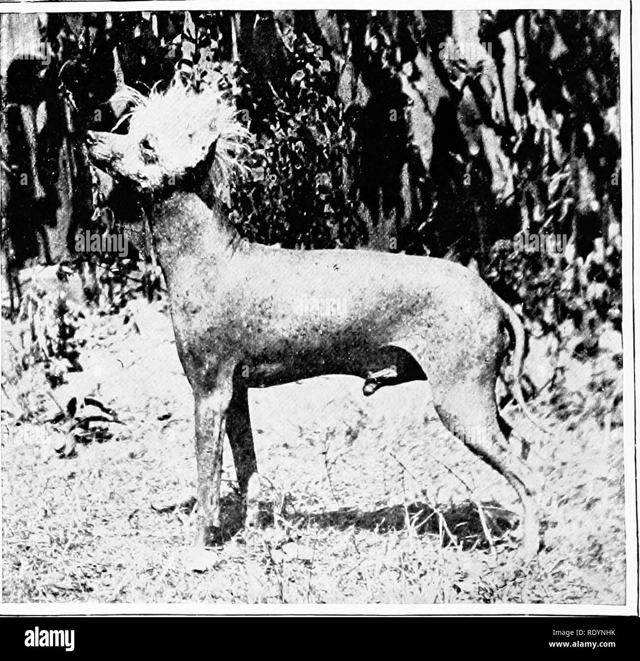 Mottled colours Black and White Stock Photos & Images - Alamy