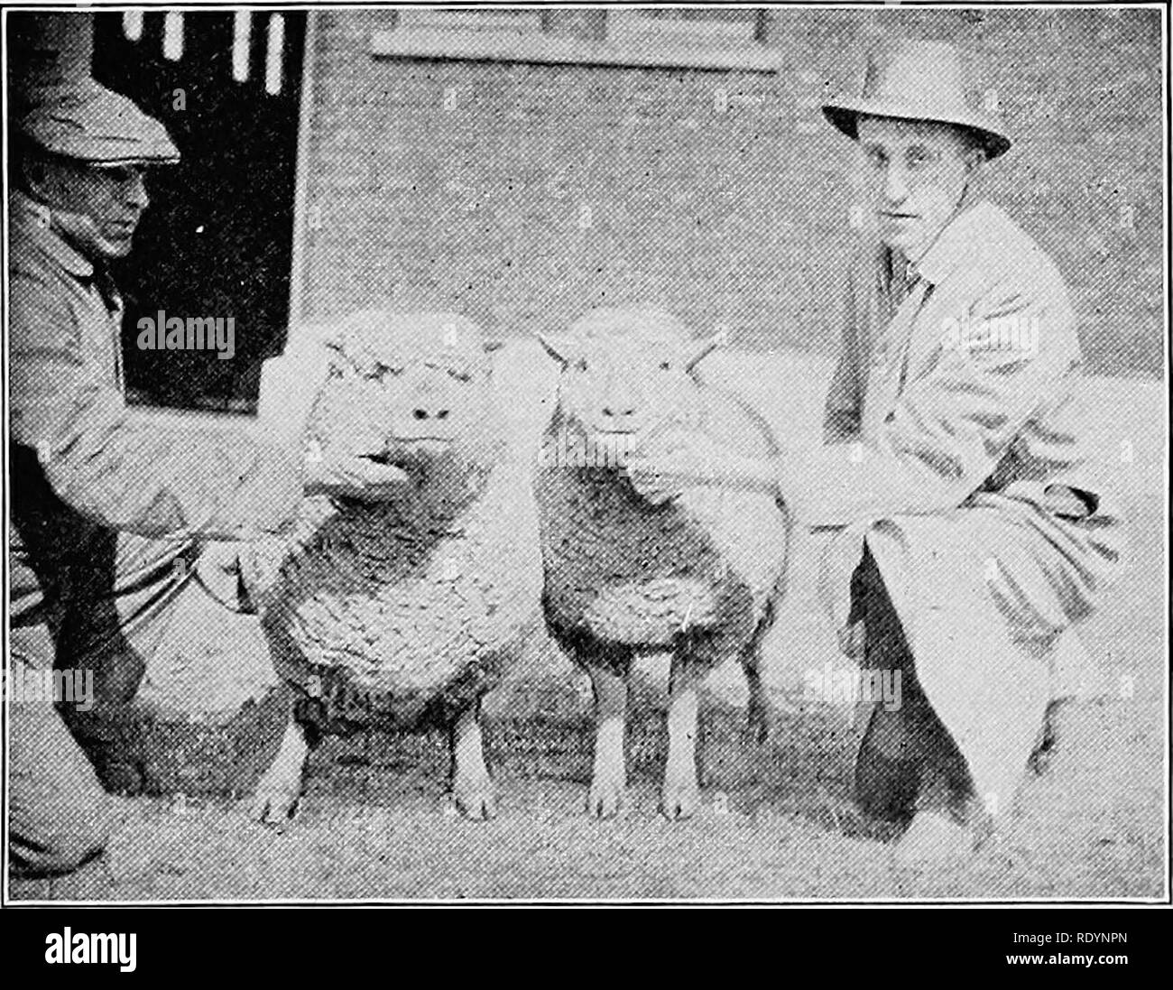 Ample chest Black and White Stock Photos & Images - Alamy