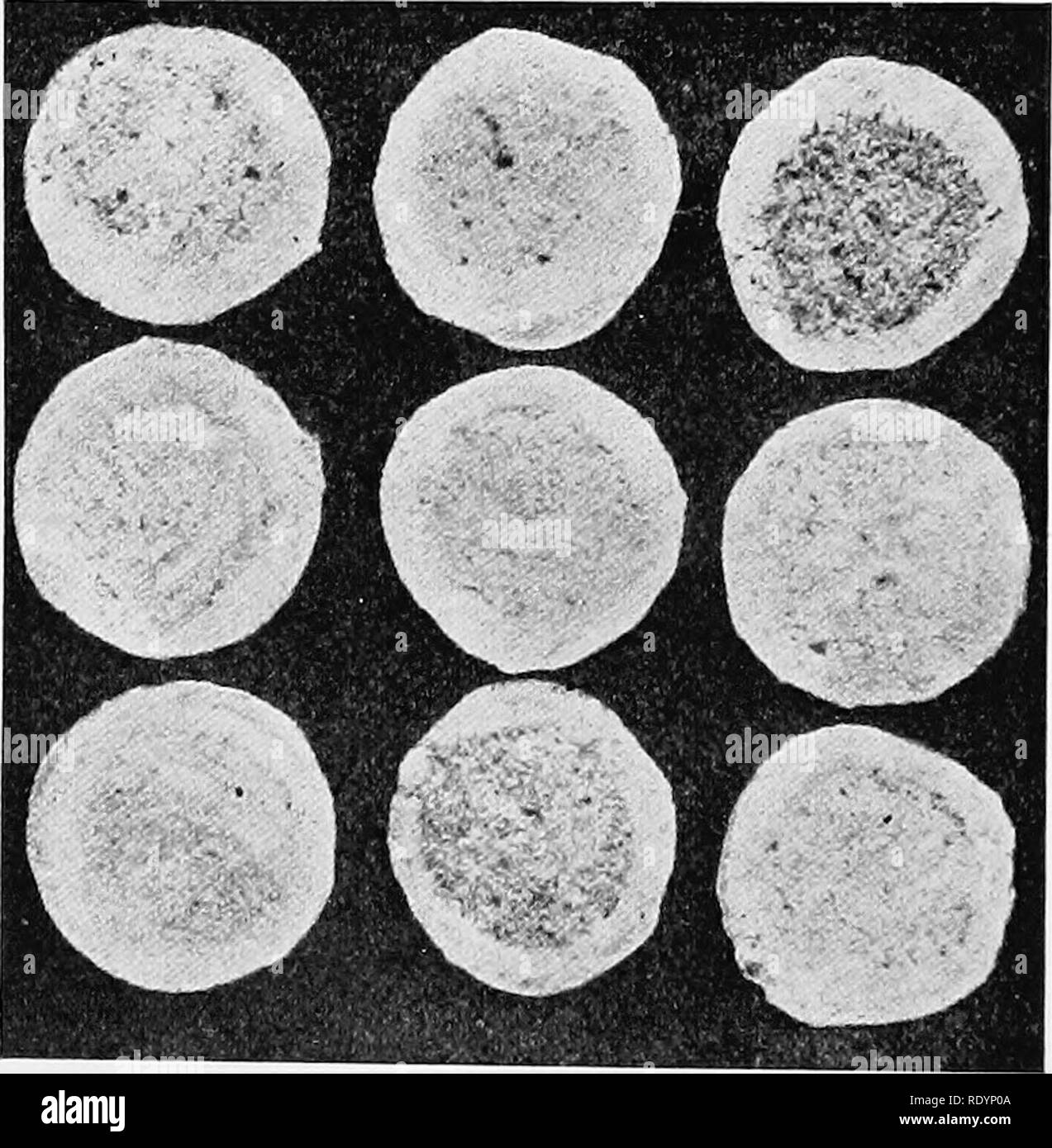 Sta rt Black and White Stock Photos & Images - Alamy