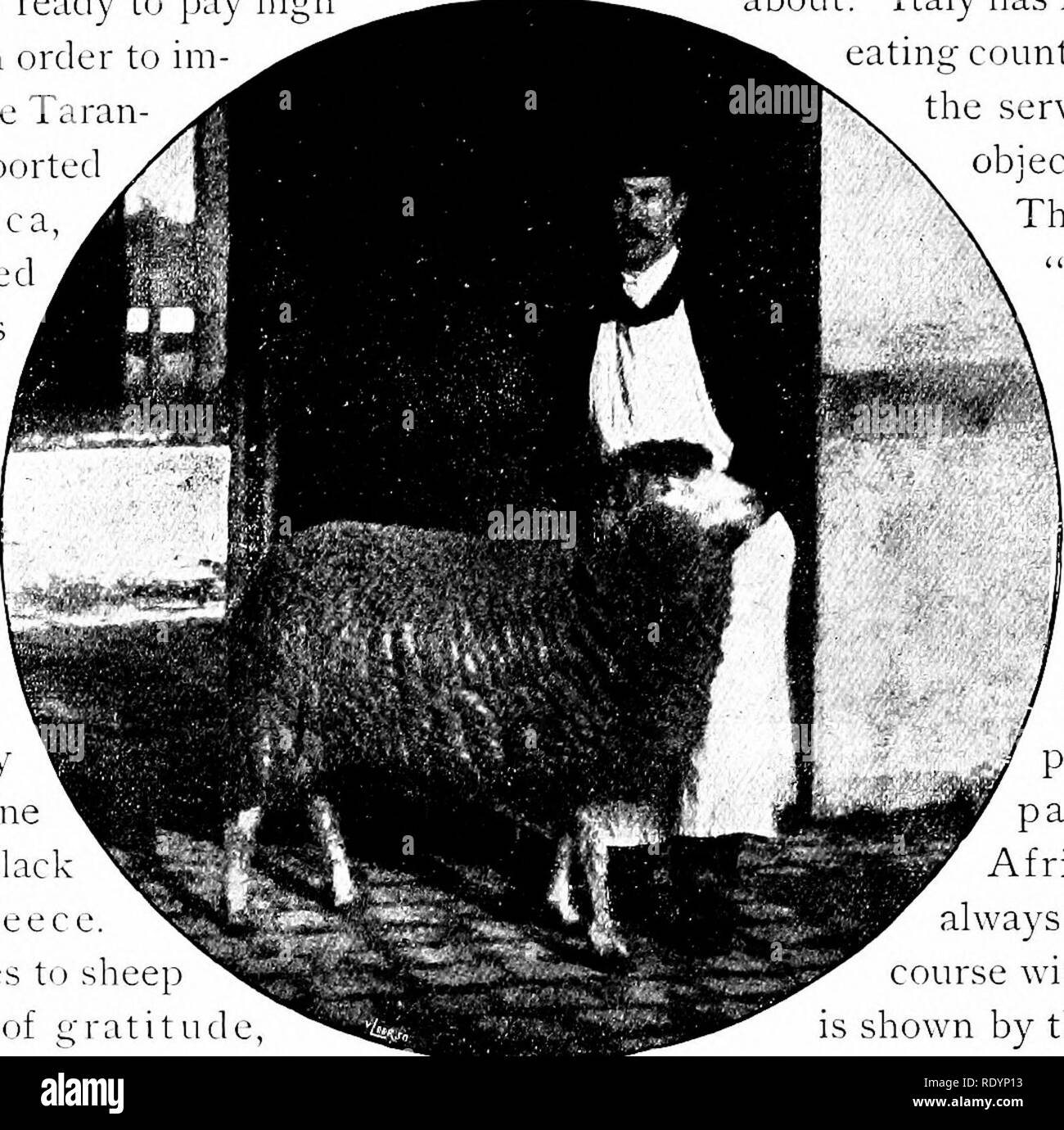 . Our domestic animals, their habits, intelligence and usefulness; tr ...