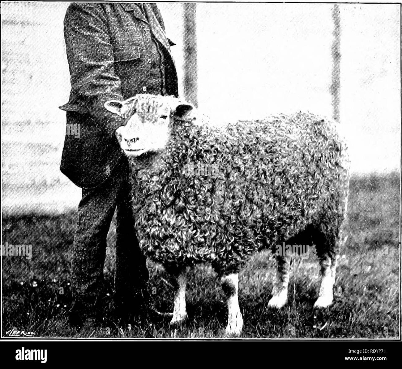Mutton chops Black and White Stock Photos & Images - Alamy