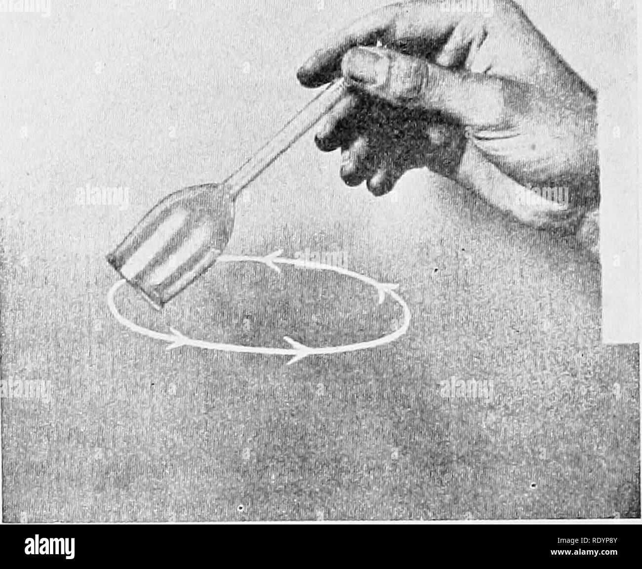 . Milk. Milk. 156 MILK the assembling of the fat in the graduated neck ...