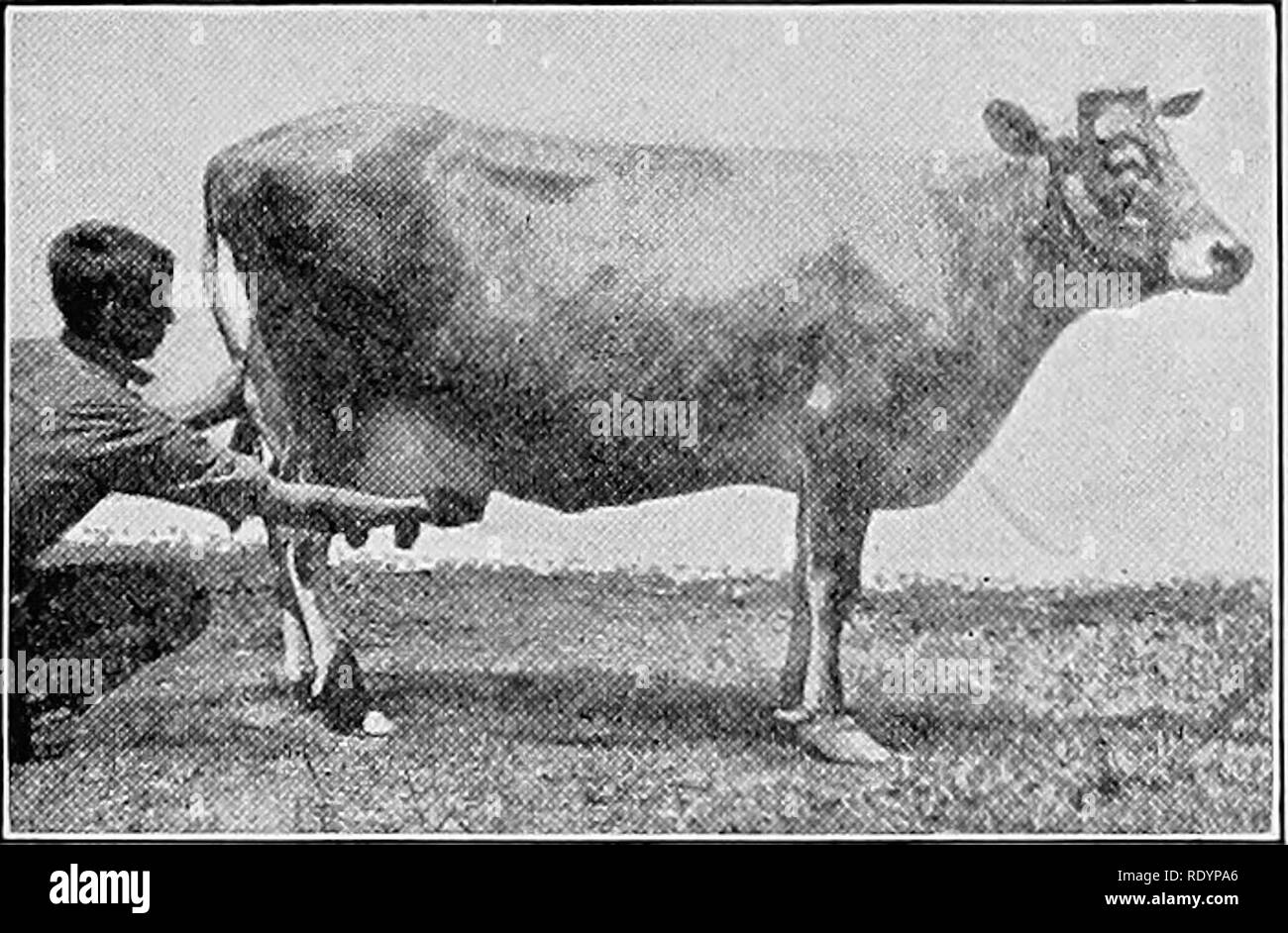 The breaking of the thighs hi-res stock photography and images - Alamy