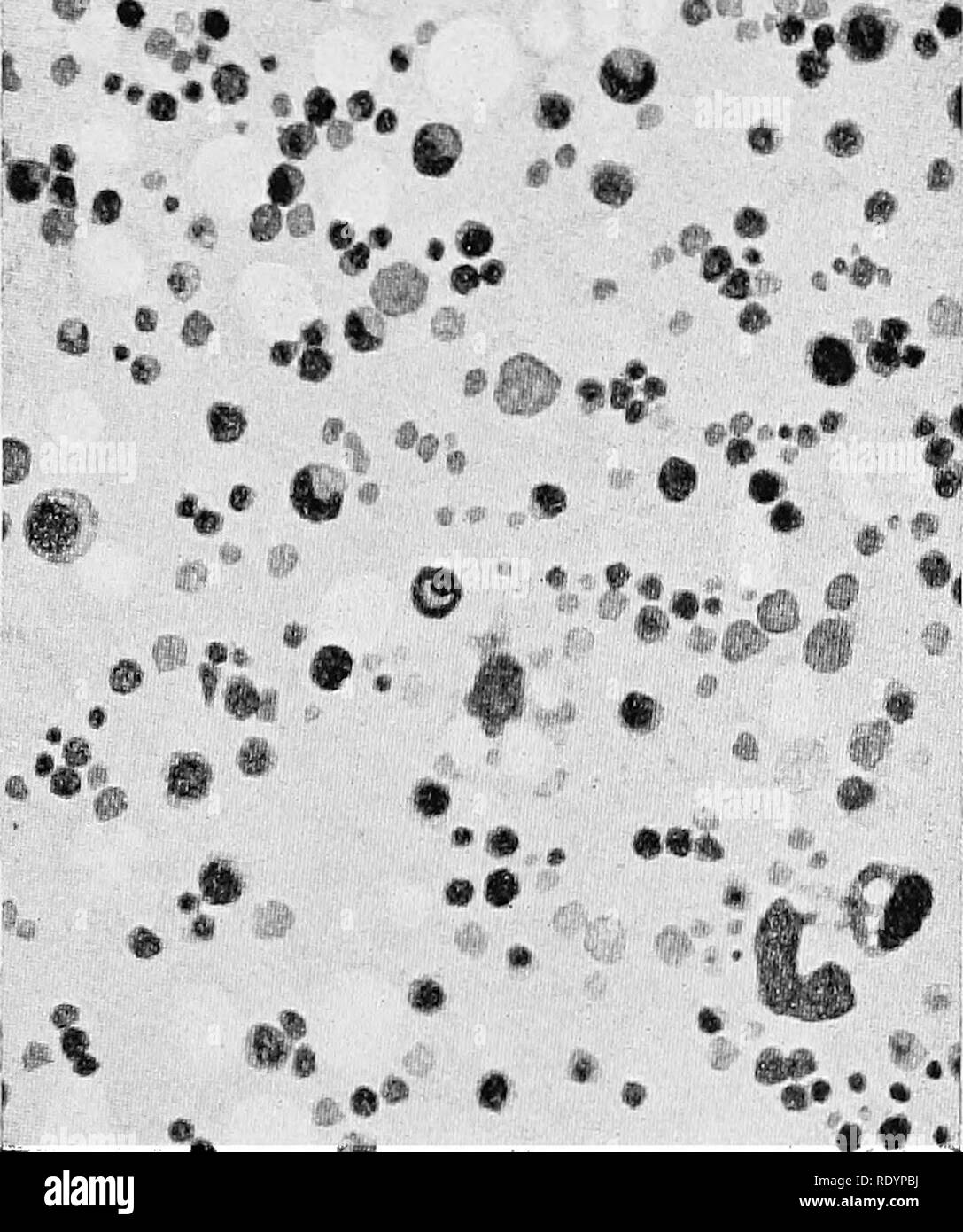 . Milk. Milk. THE PHYSIOLOGY OF LACTATION 35 globules are released ...