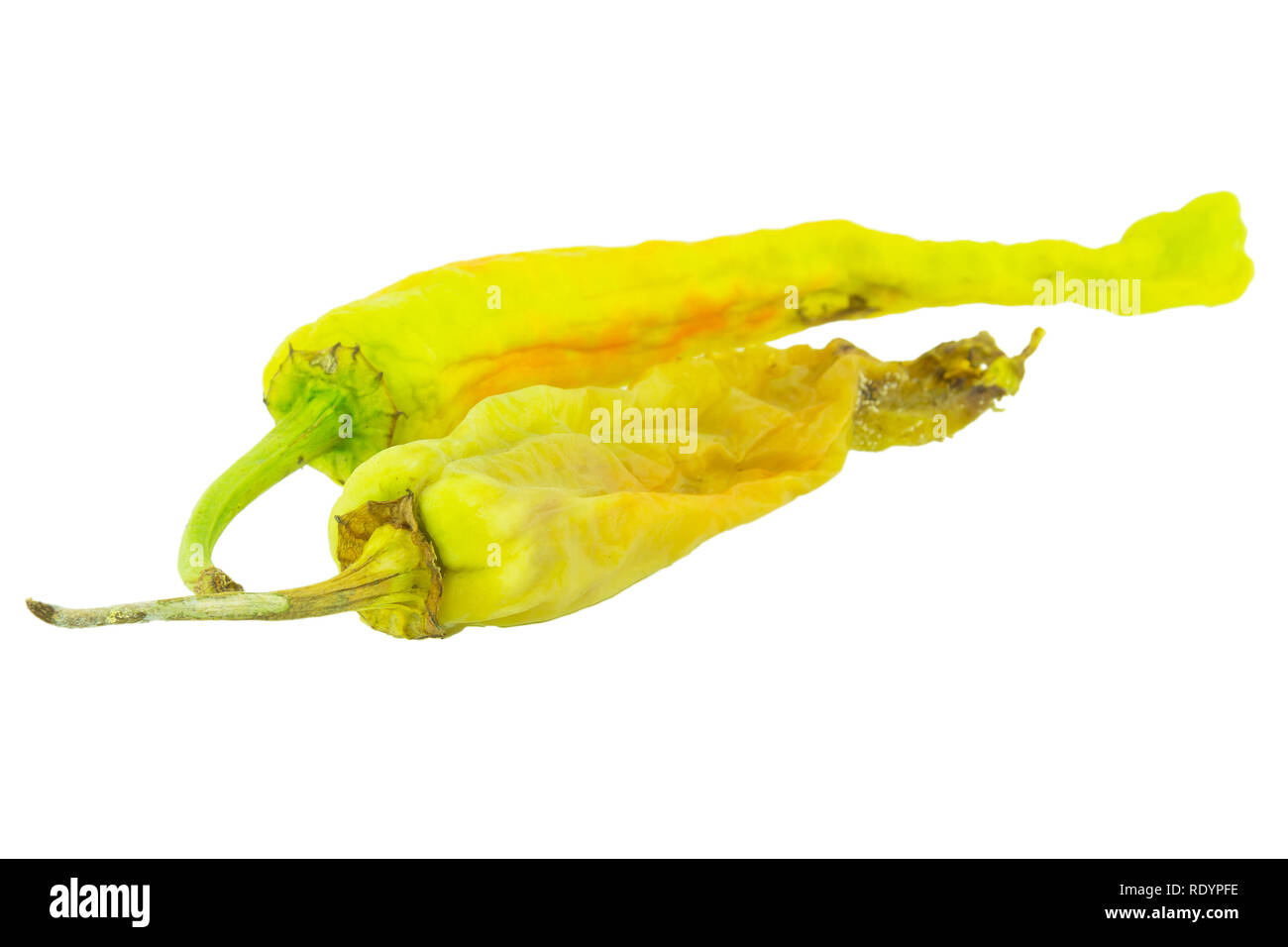 rotten pepper isolated on white background Stock Photo - Alamy