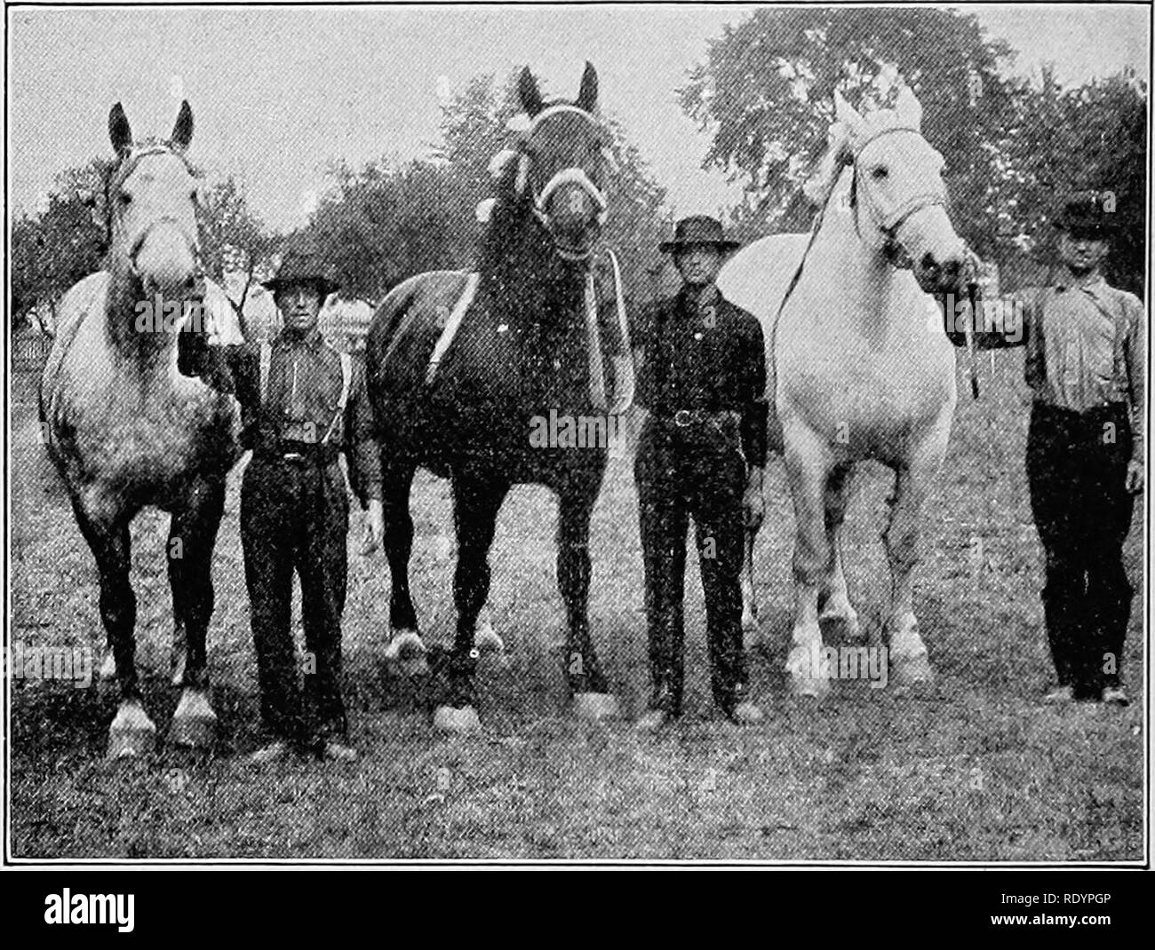C shaped legs placed hi-res stock photography and images - Alamy