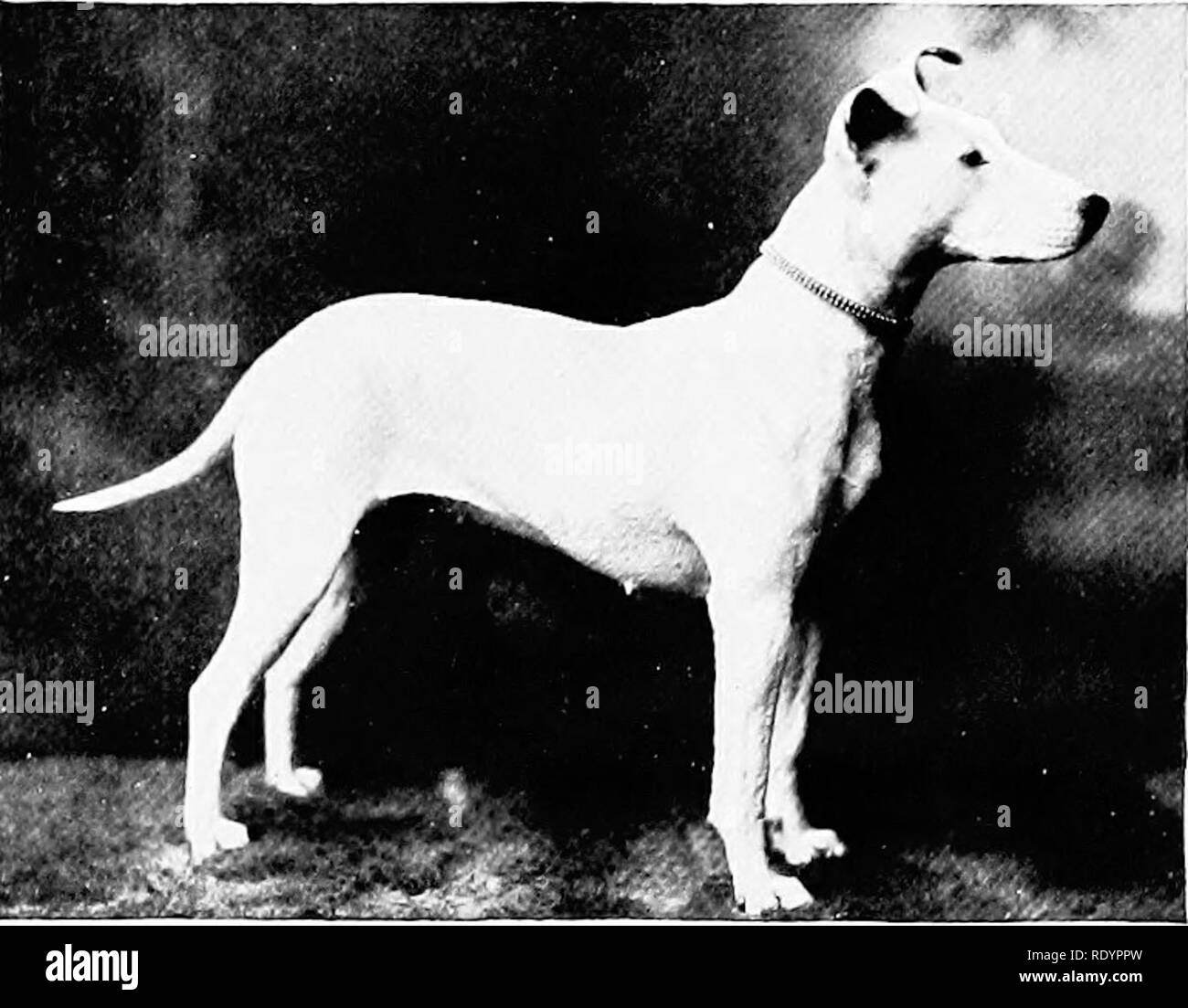 Bolton type hi-res stock photography and images - Alamy