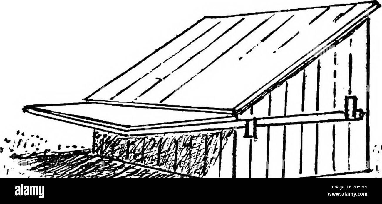 . Productive swine husbandry. Swine. BUILDINGS 315 of 2" by 4 ...