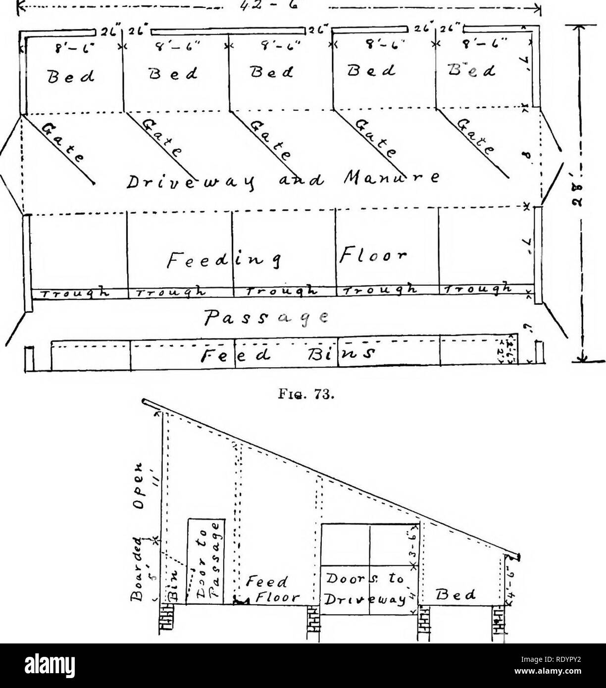 . Productive swine husbandry. Swine. BUILDINGS 307 1/2 - L. Fig. 74. T ...