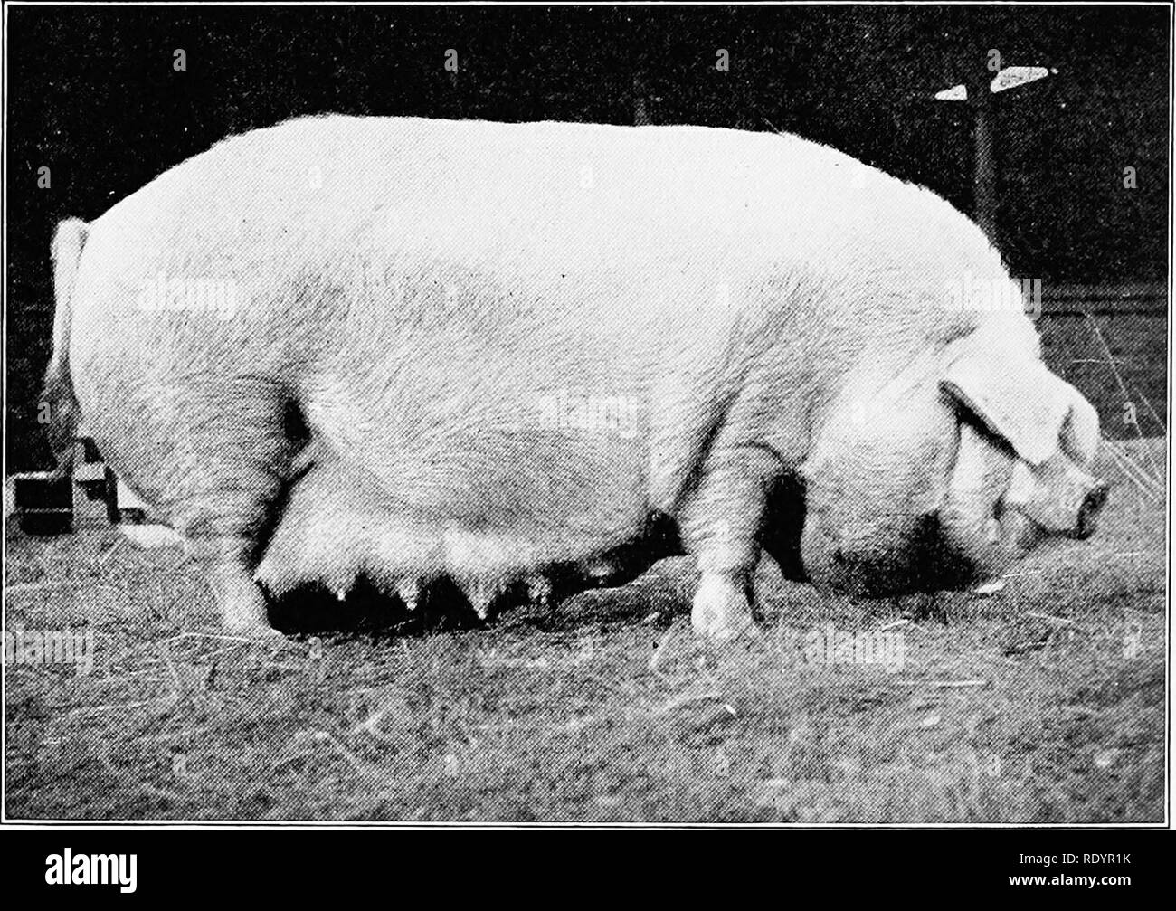 Sow your oats Black and White Stock Photos & Images - Alamy