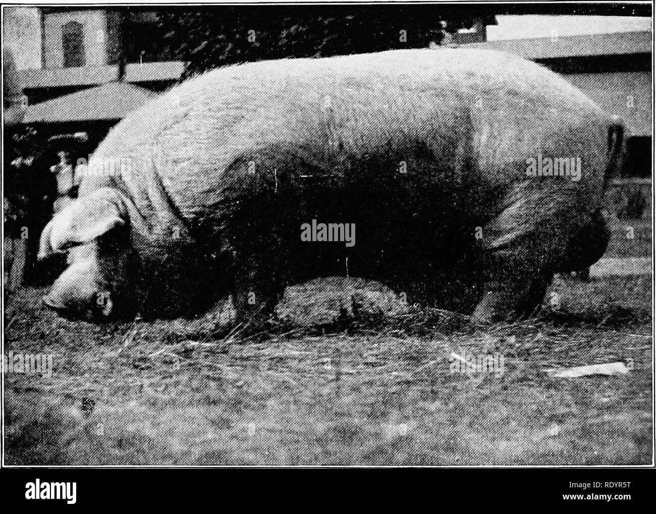 Earliest settlers Black and White Stock Photos & Images - Alamy