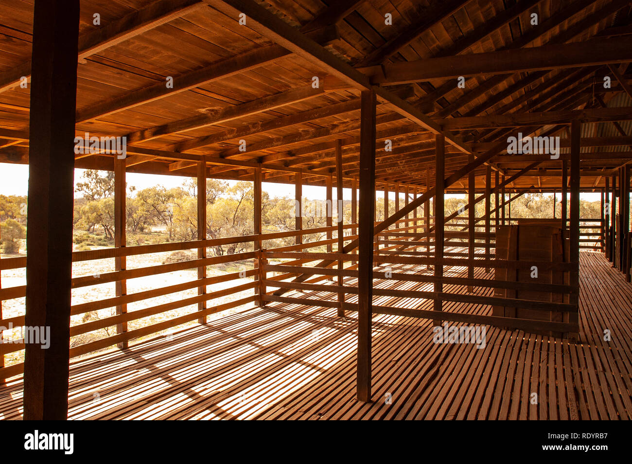 Sheep shearing shed australia hi-res stock photography and images - Alamy