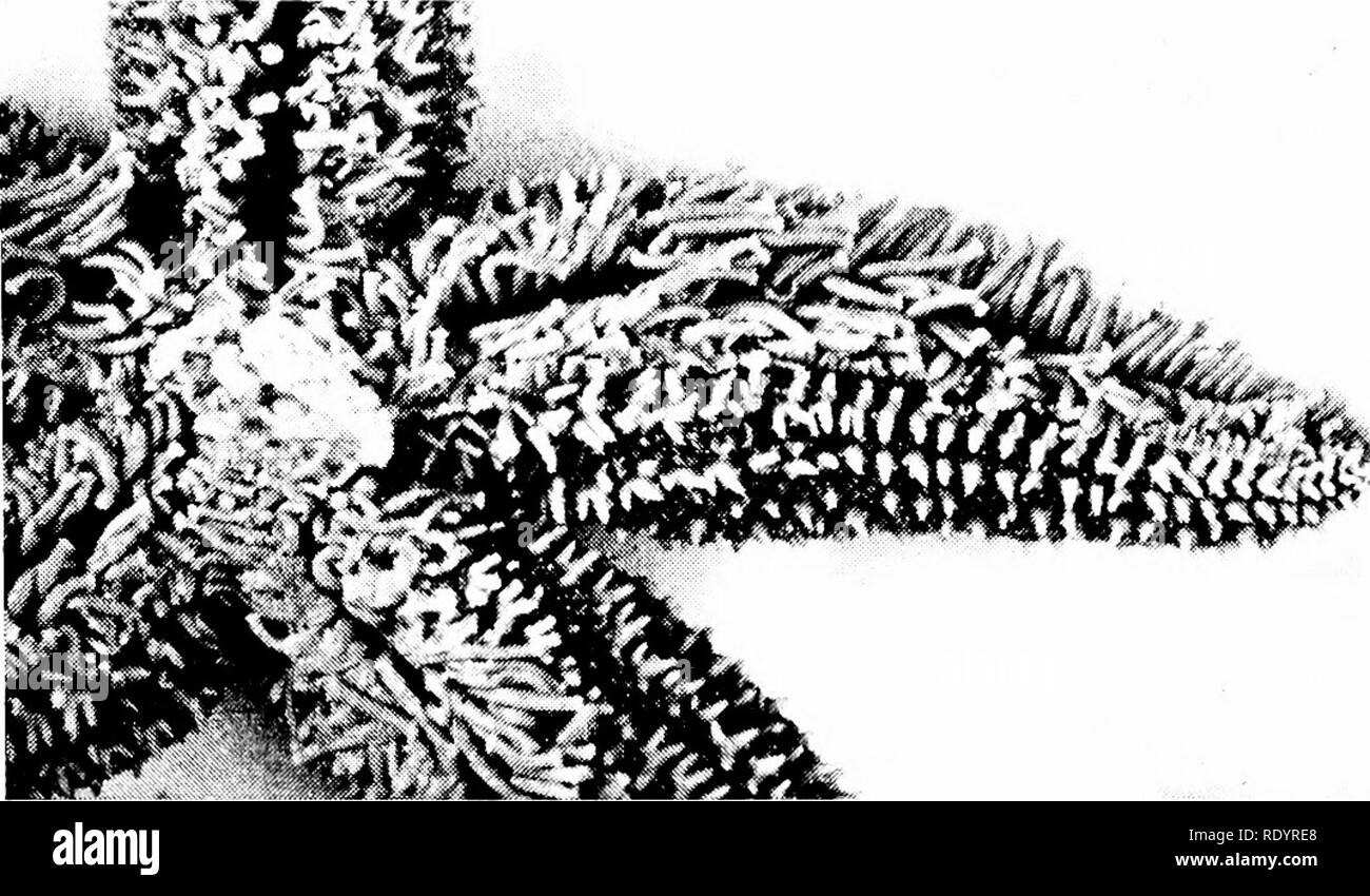 . Principles of modern biology. Biology. 662 - Heredity and Evolution ...
