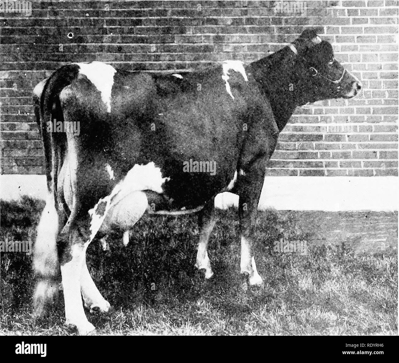 Lord hope judge Black and White Stock Photos & Images - Alamy