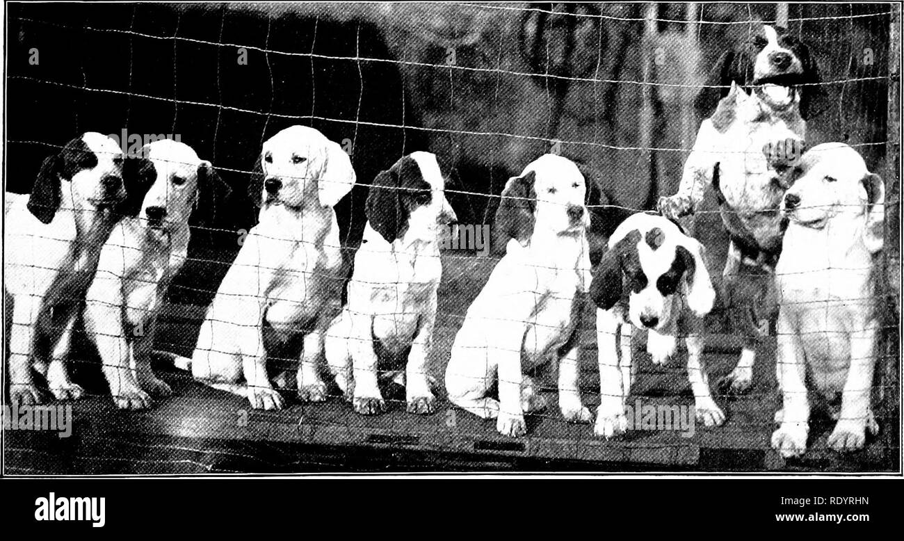 Hubert newman Black and White Stock Photos & Images - Alamy