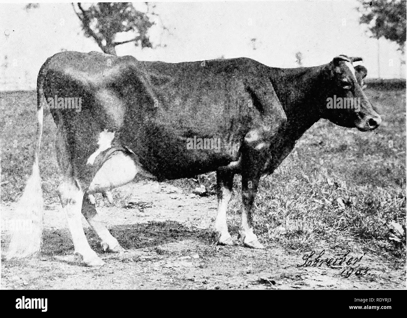 Madison ivy Black and White Stock Photos & Images - Alamy