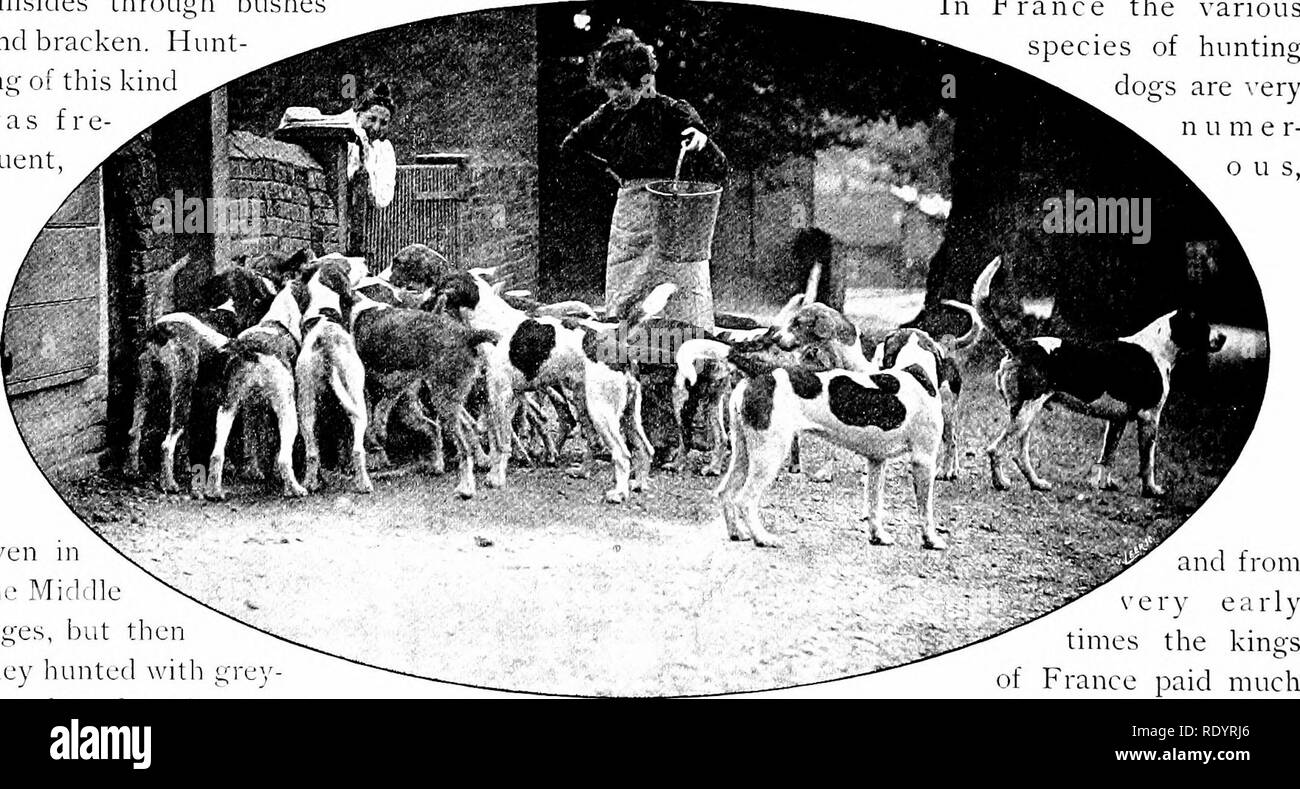 Scarlet hunt coats hi-res stock photography and images - Alamy