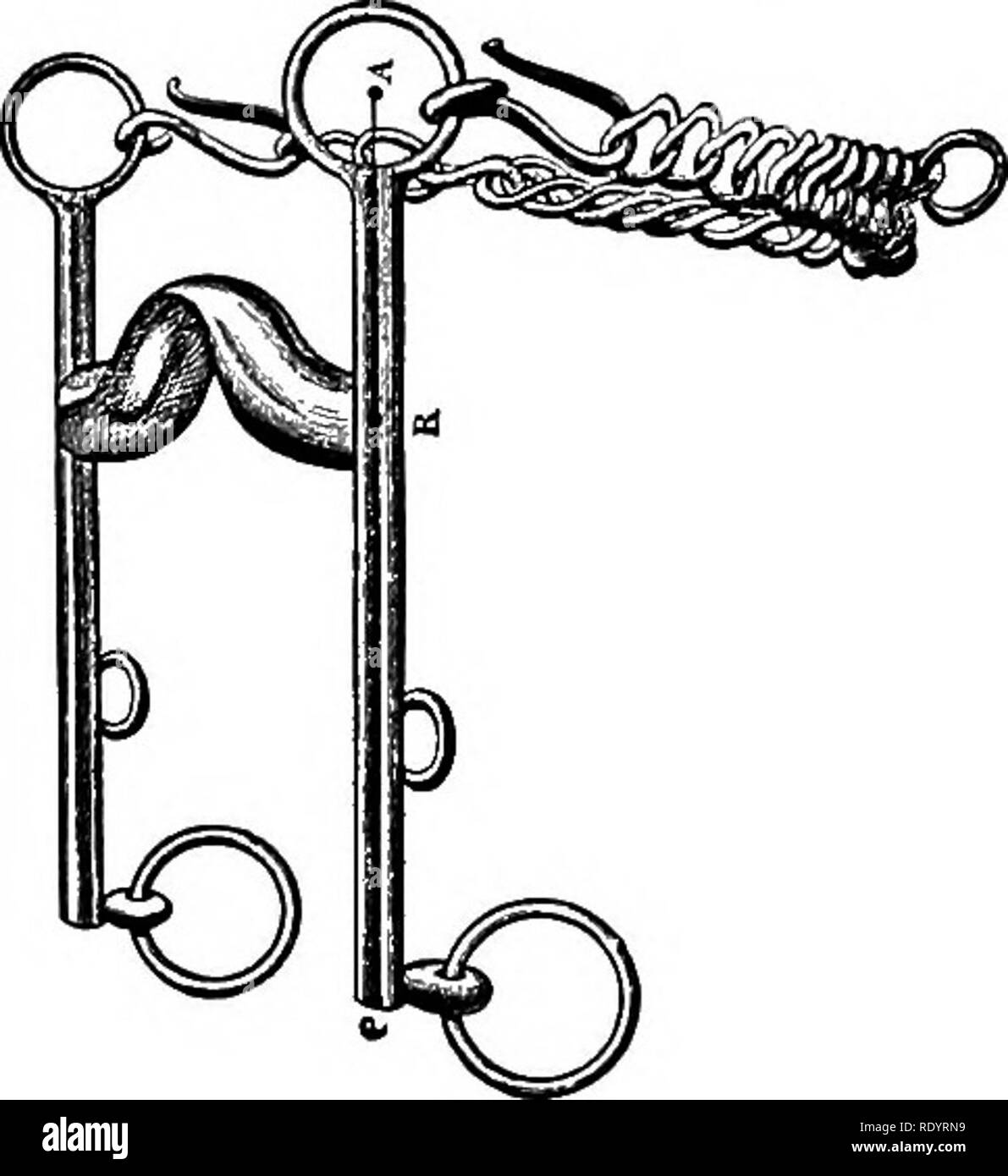 Pelham bit hi-res stock photography and images - Alamy