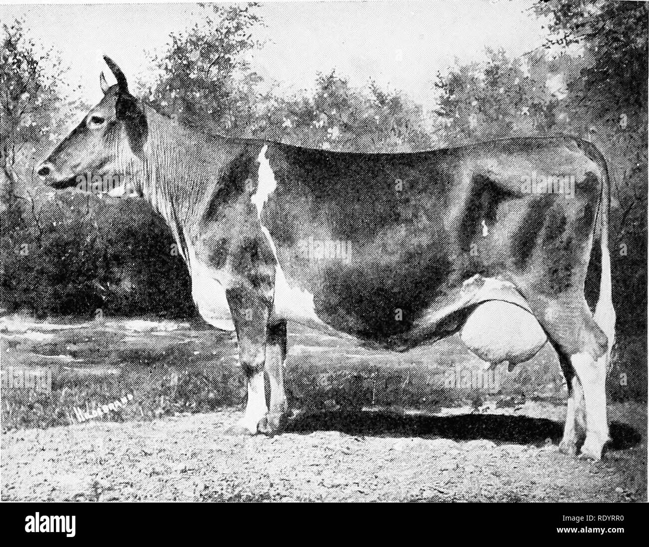 Microsoft lists Black and White Stock Photos & Images - Alamy