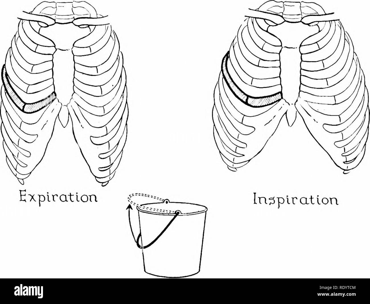 Deflated balloon Black and White Stock Photos & Images - Alamy