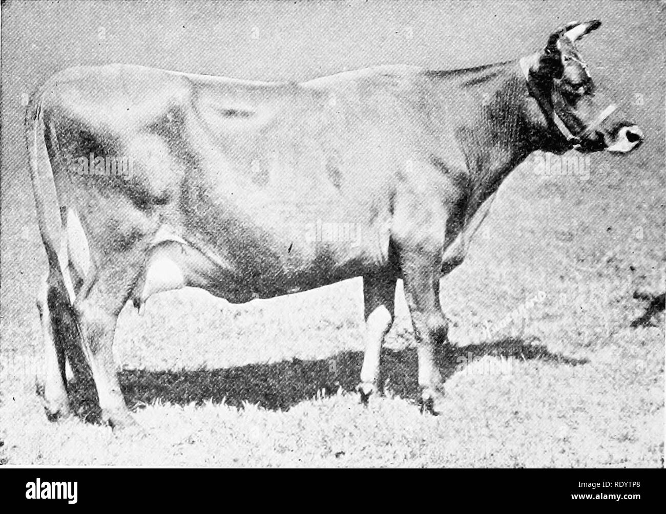 Sumer e hi-res stock photography and images - Alamy