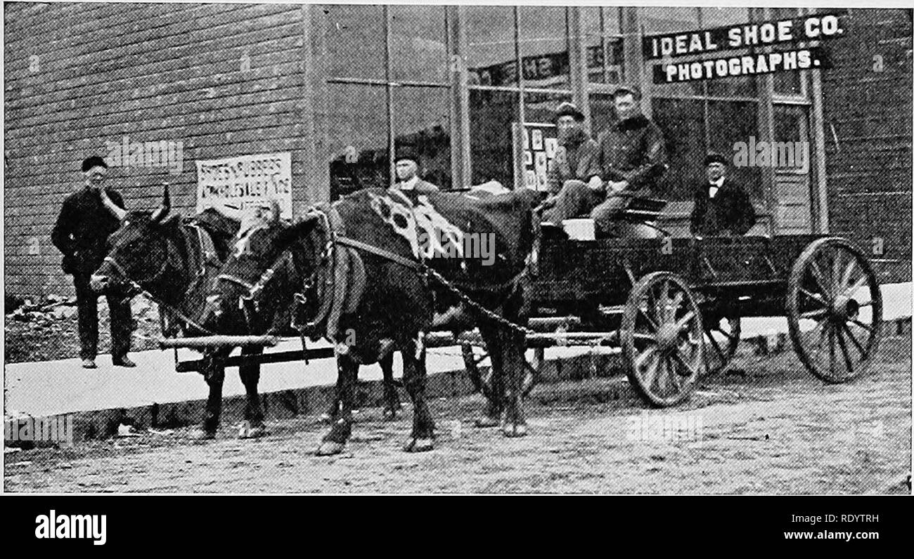 . Productive dairying . Dairying. THE EVOLUTION OF THE DAIRY COW 25 was ...