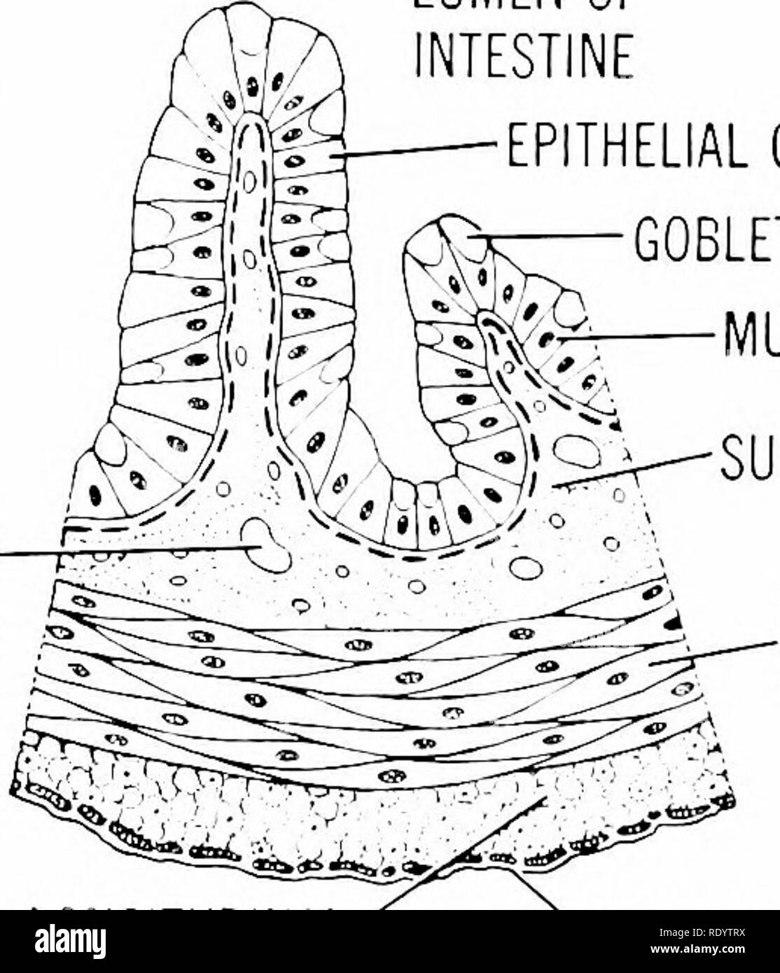 Example finds hi-res stock photography and images - Alamy