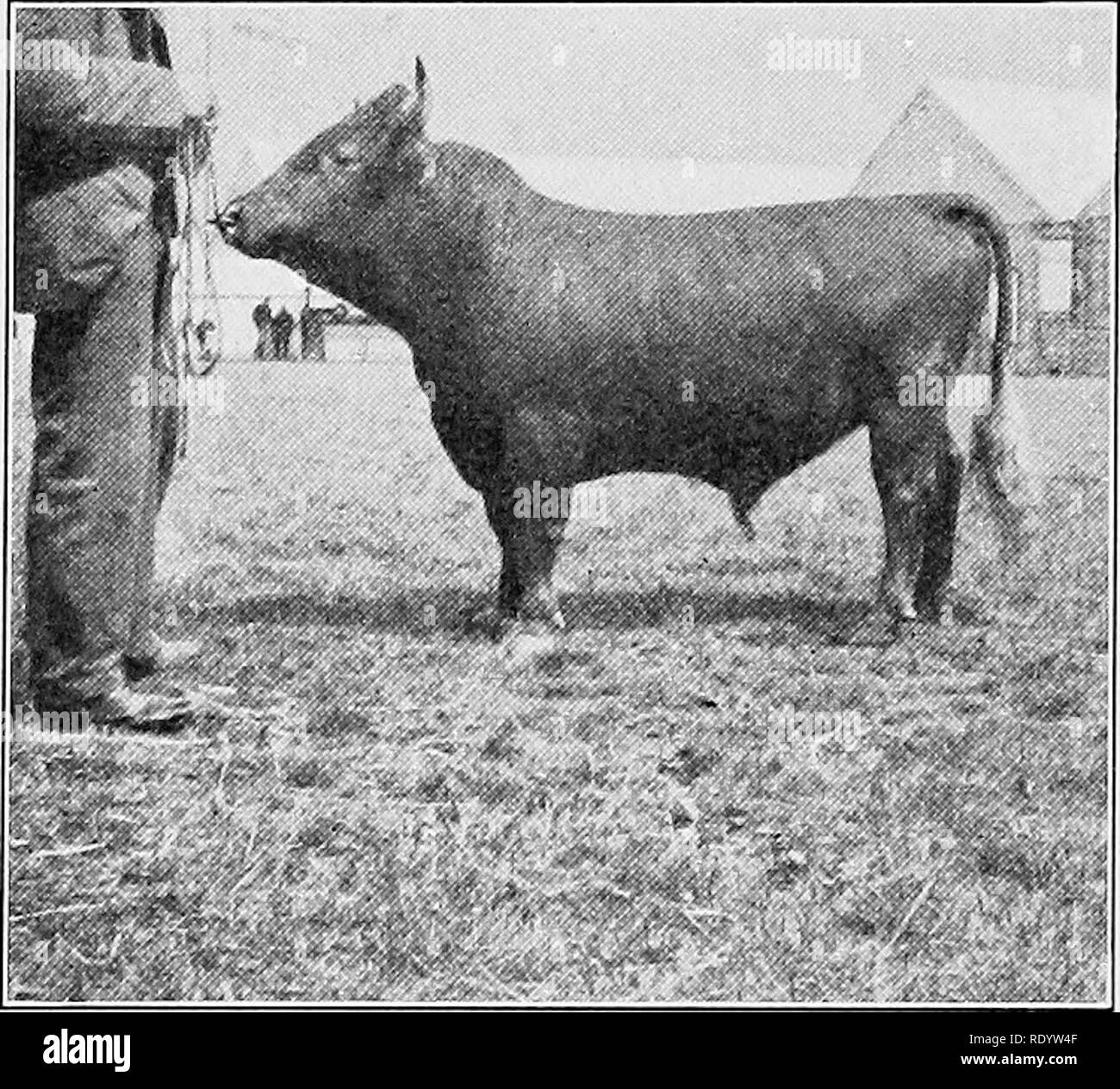 Lord sumption hi-res stock photography and images - Alamy