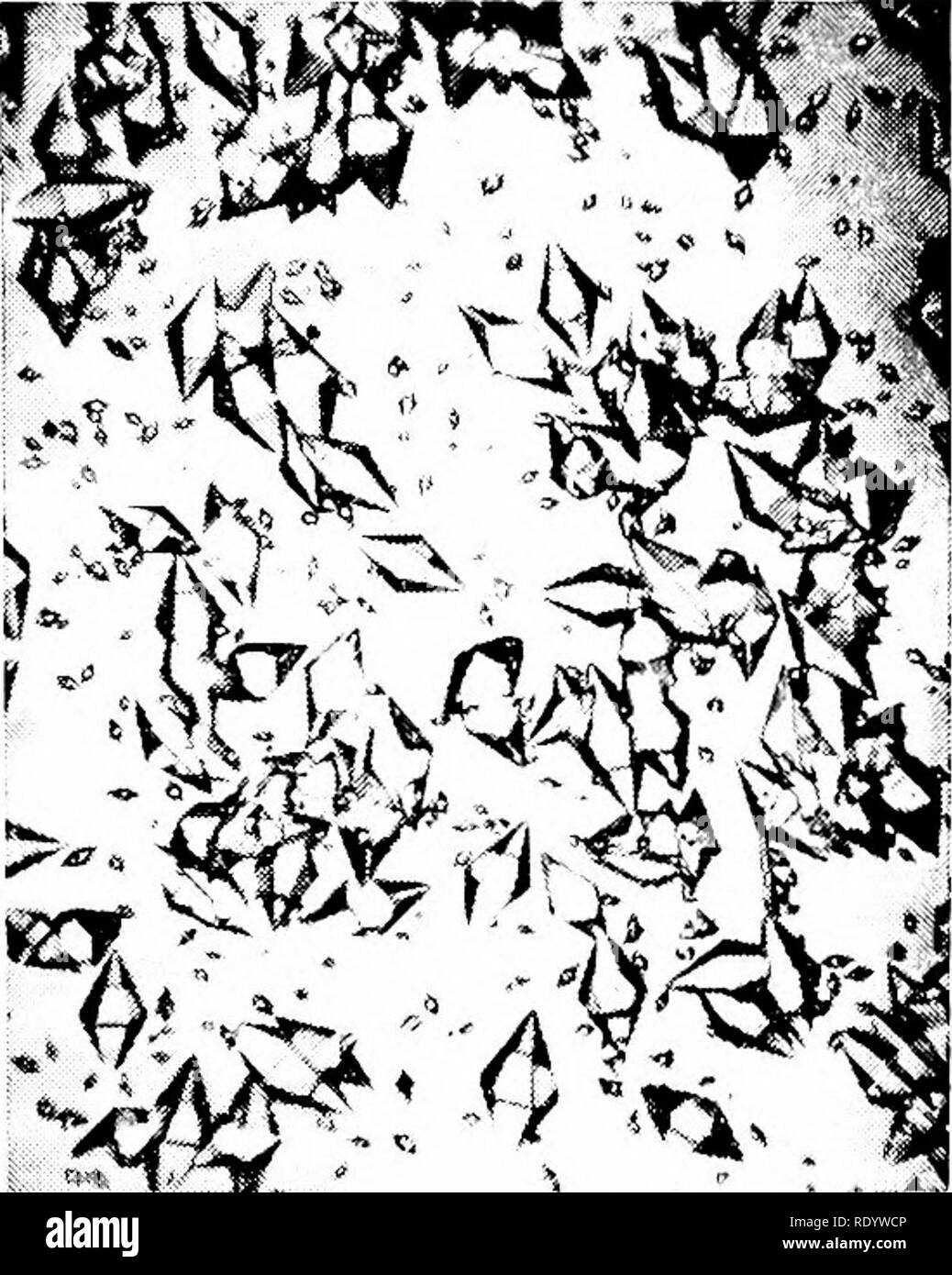 . Principles of modern biology. Biology. 104 - The Cell. Fig. 5-1 ...