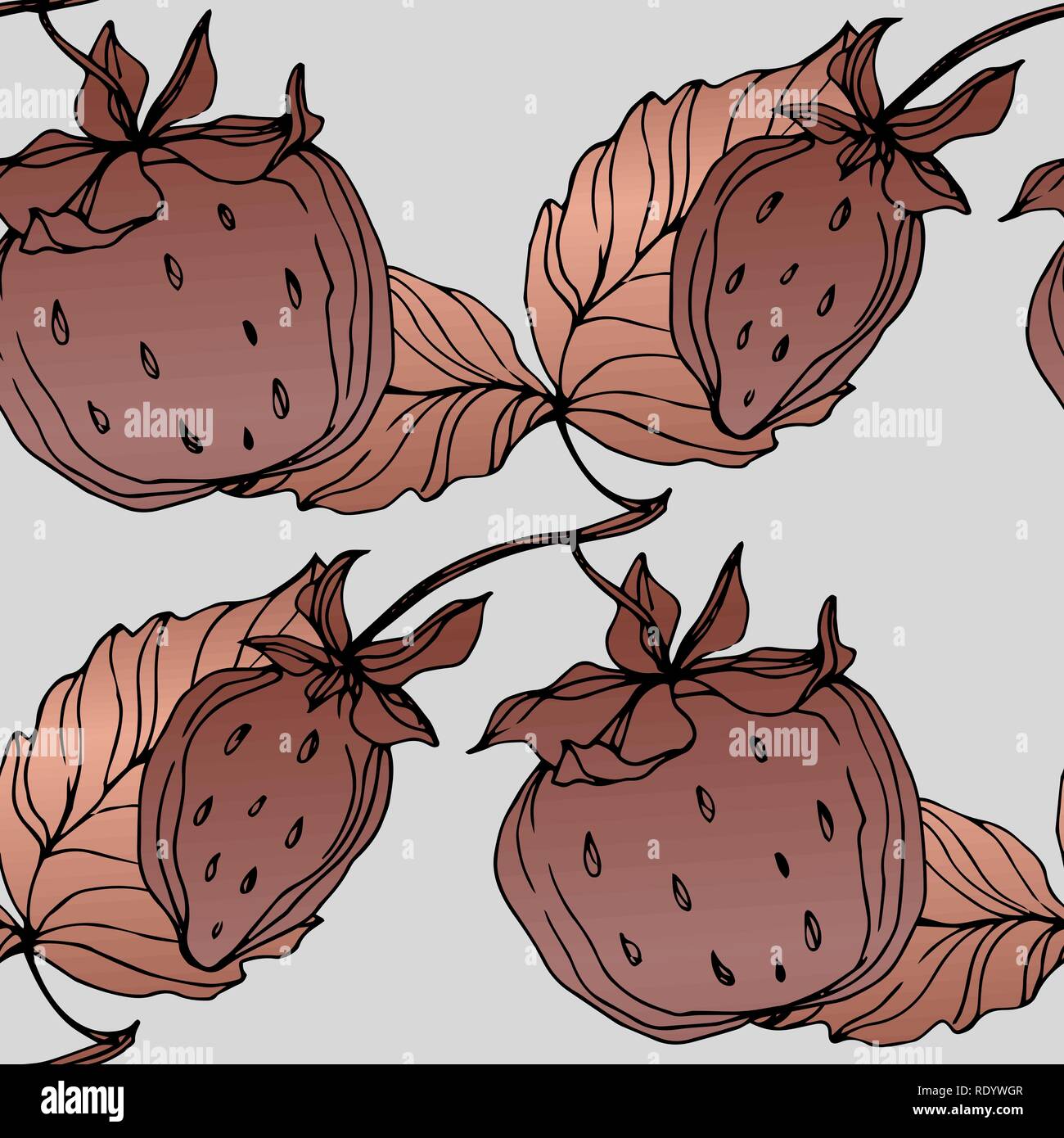 Vector Strawberry fruits. Copper engraved ink art. Seamless background ...