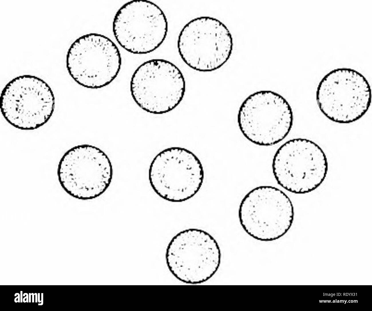Cell membrane lipid Black and White Stock Photos & Images - Alamy