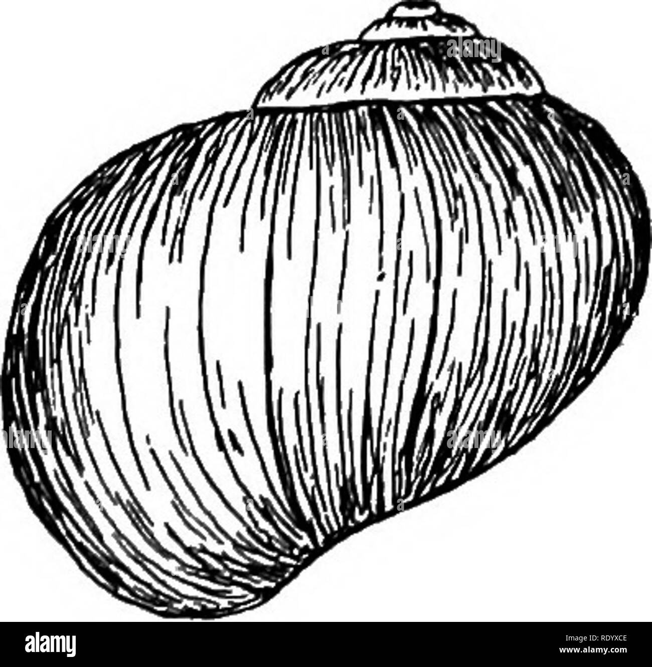 . Goldfish breeds and other aquarium fishes, their care and propagation ...