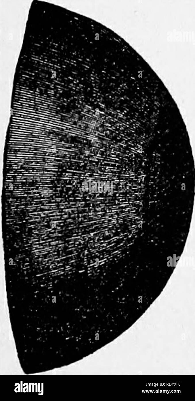 Eye surgery animal Black and White Stock Photos & Images - Alamy