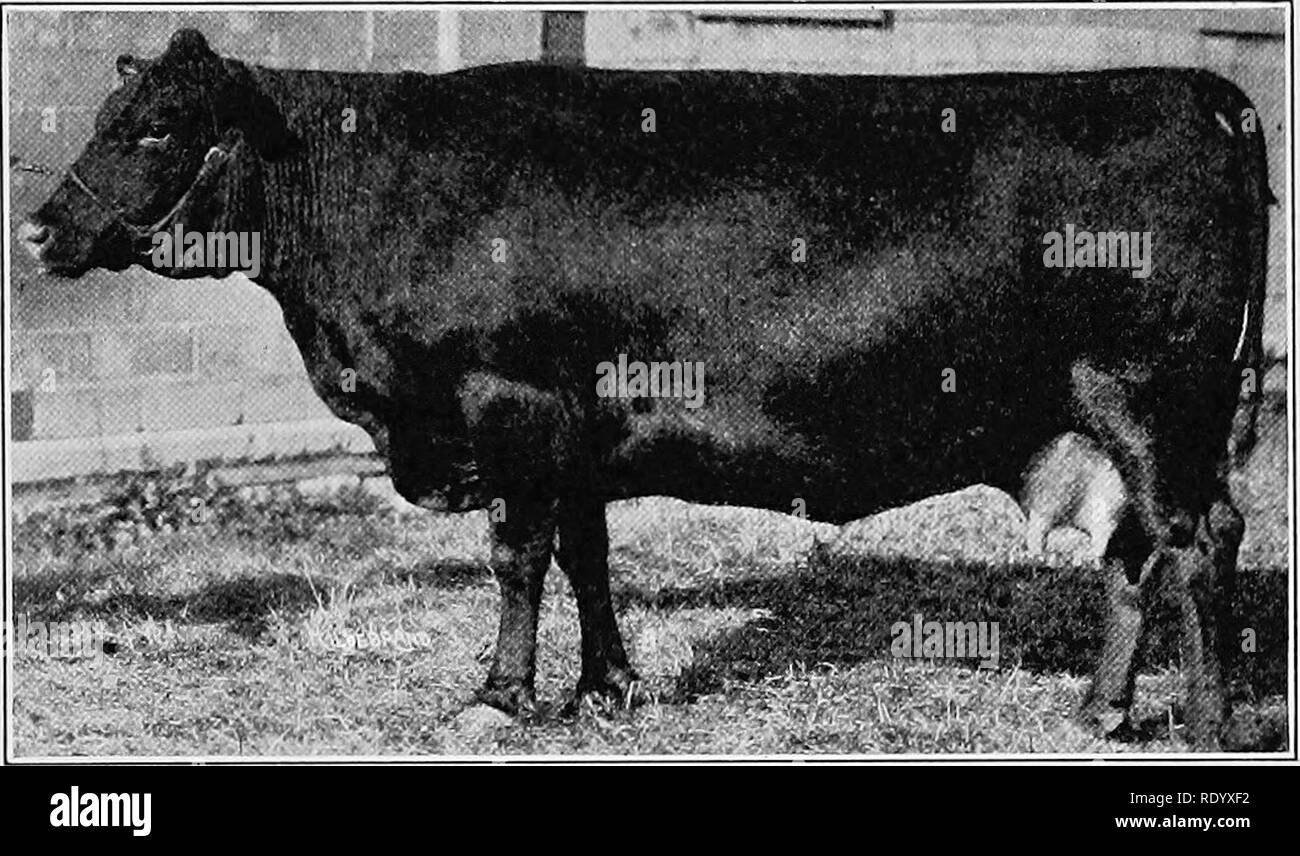 Uniform breed standard Black and White Stock Photos & Images - Alamy