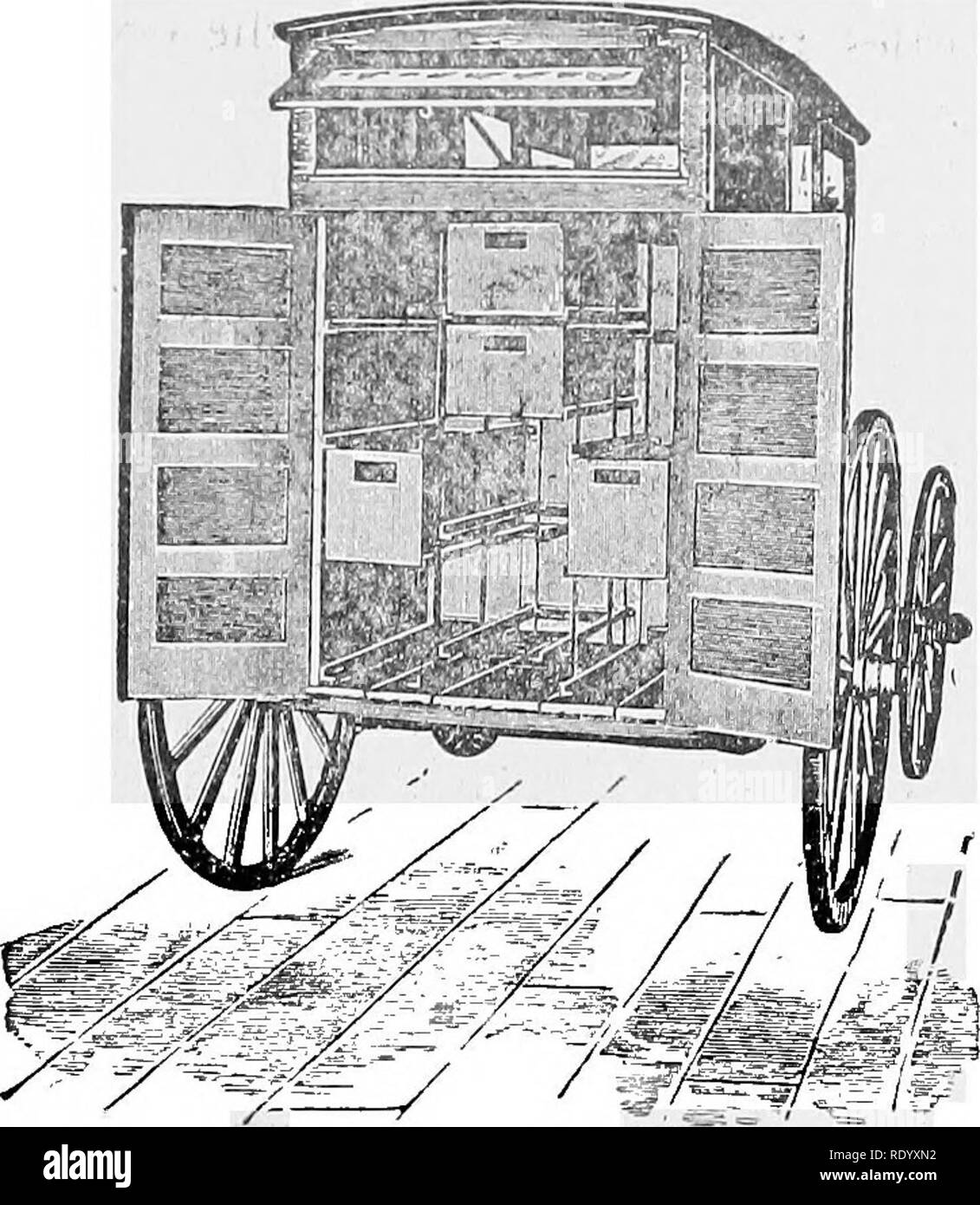 Back rear bottom tail Black and White Stock Photos & Images - Alamy