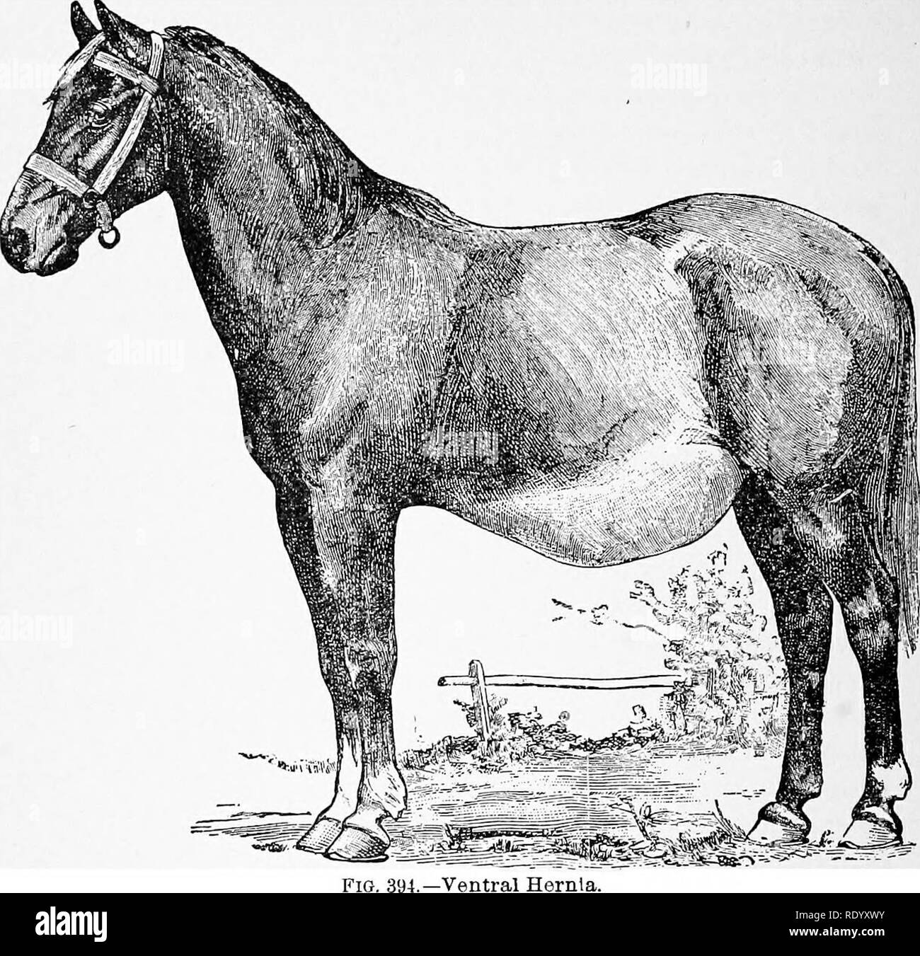 Abdominal thrust hi-res stock photography and images - Alamy