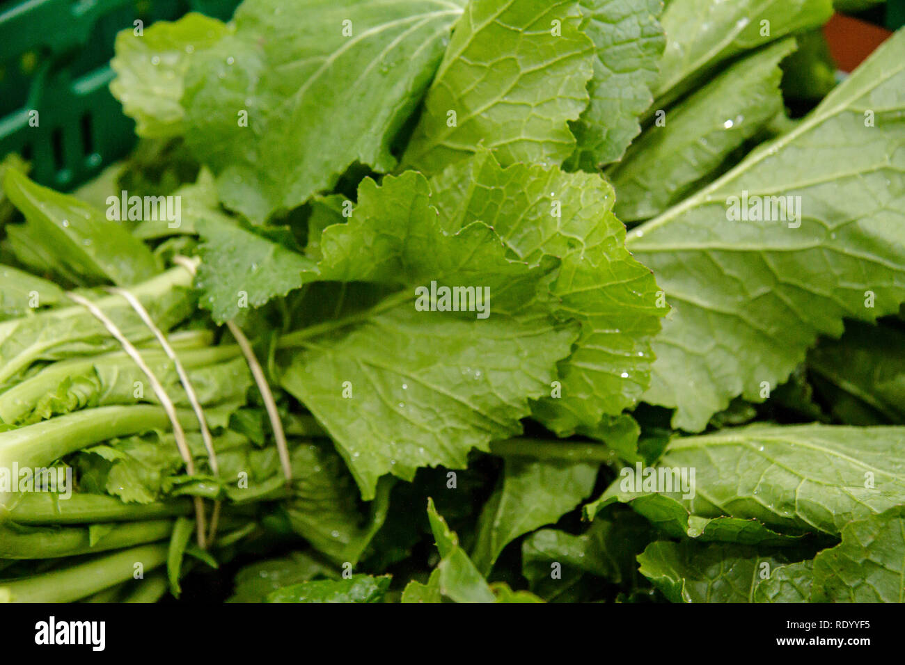 Verduras hi-res stock photography and images - Alamy